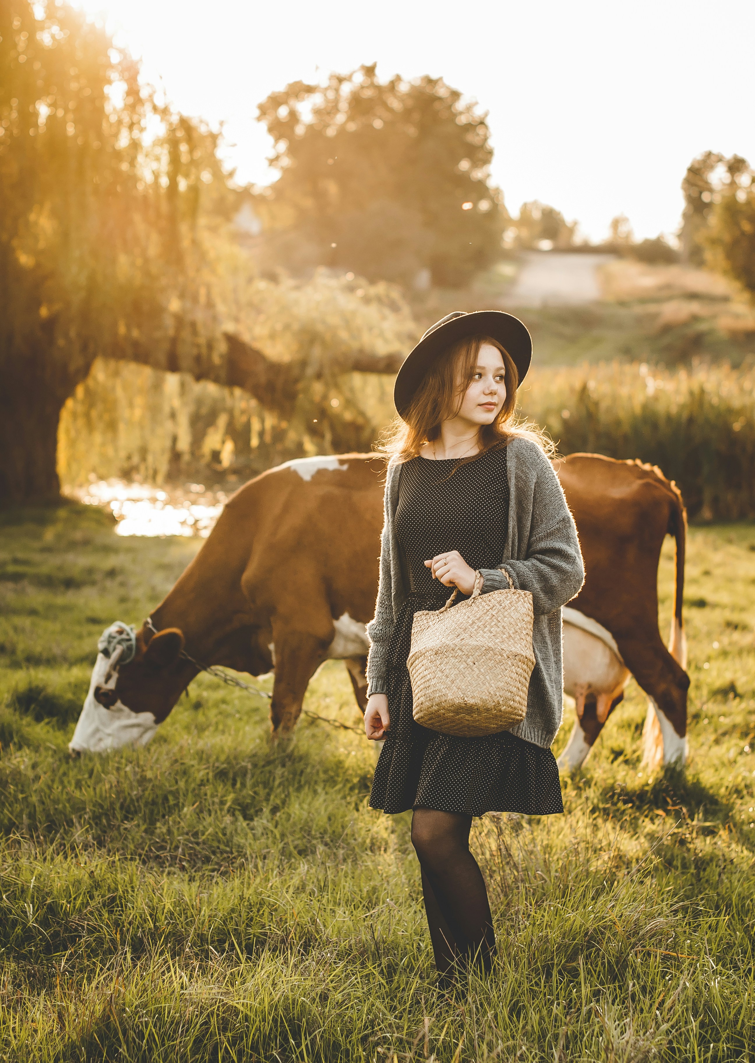 Girl in a straw-hued field with a grazing cow under golden hour light