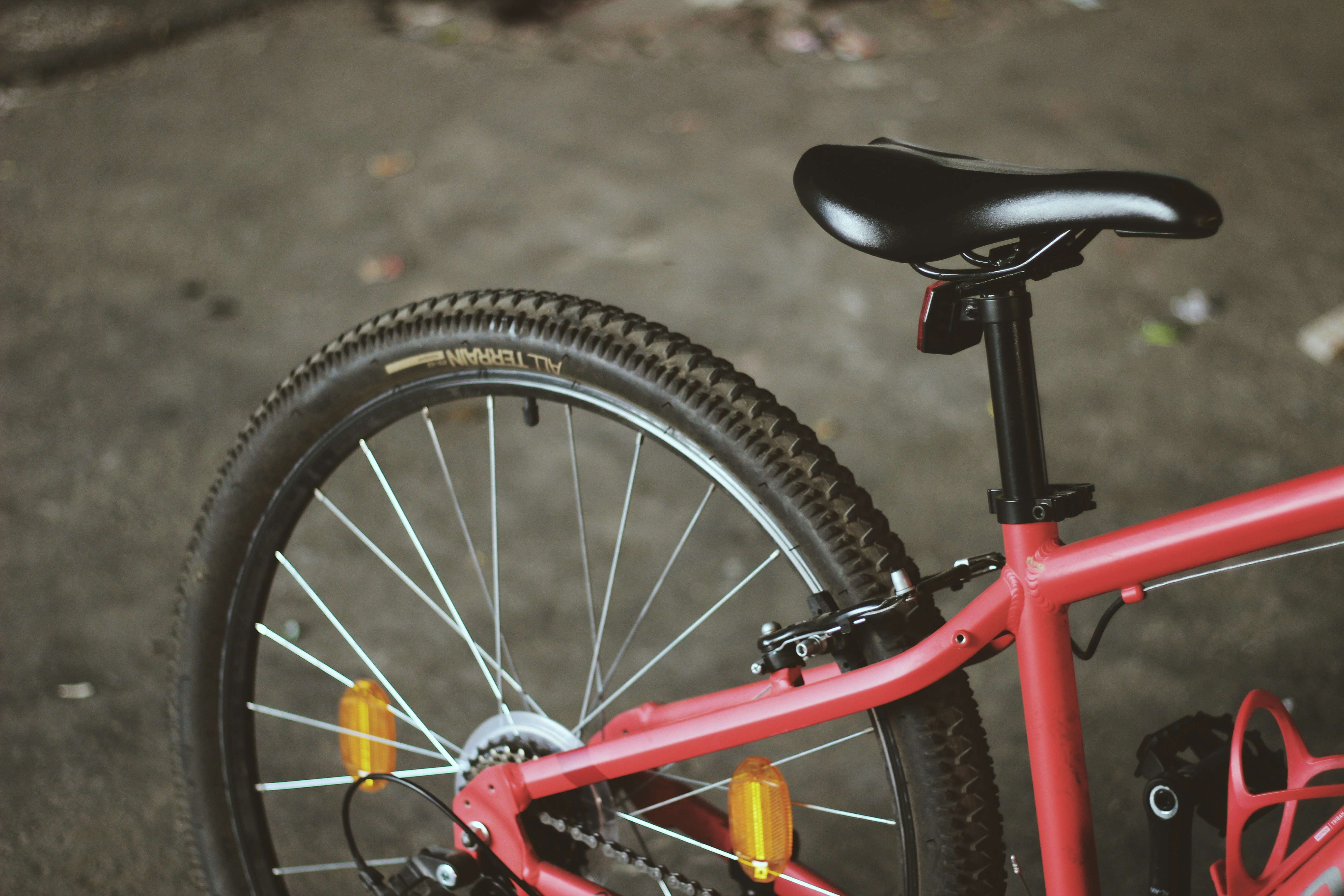 Close-up of a vibrant pink bicycle's rear wheel and seat, highlighting urban mobility and design.