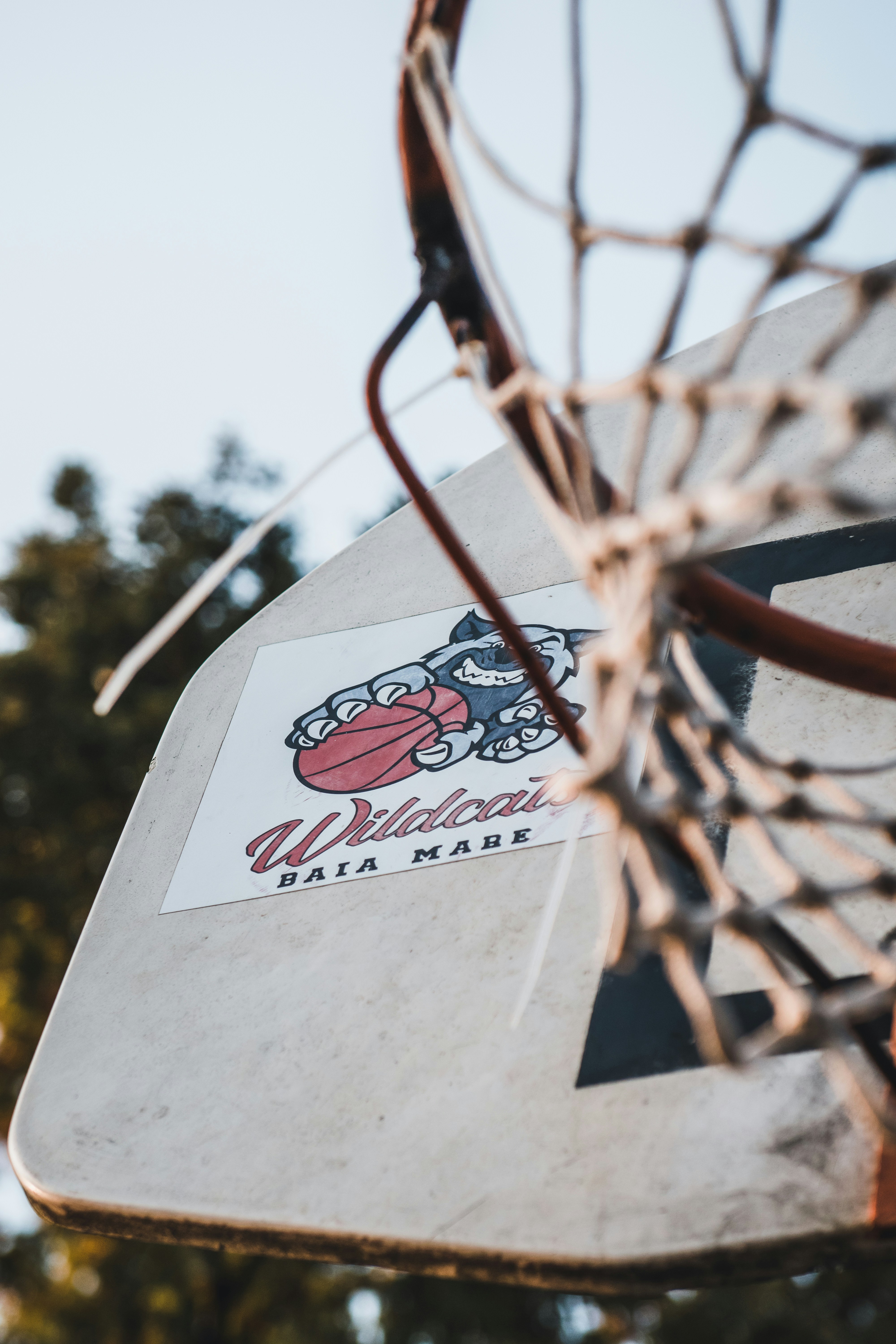 Basketball Hoop Under Sunset: Stickered Backboard and Worn Net