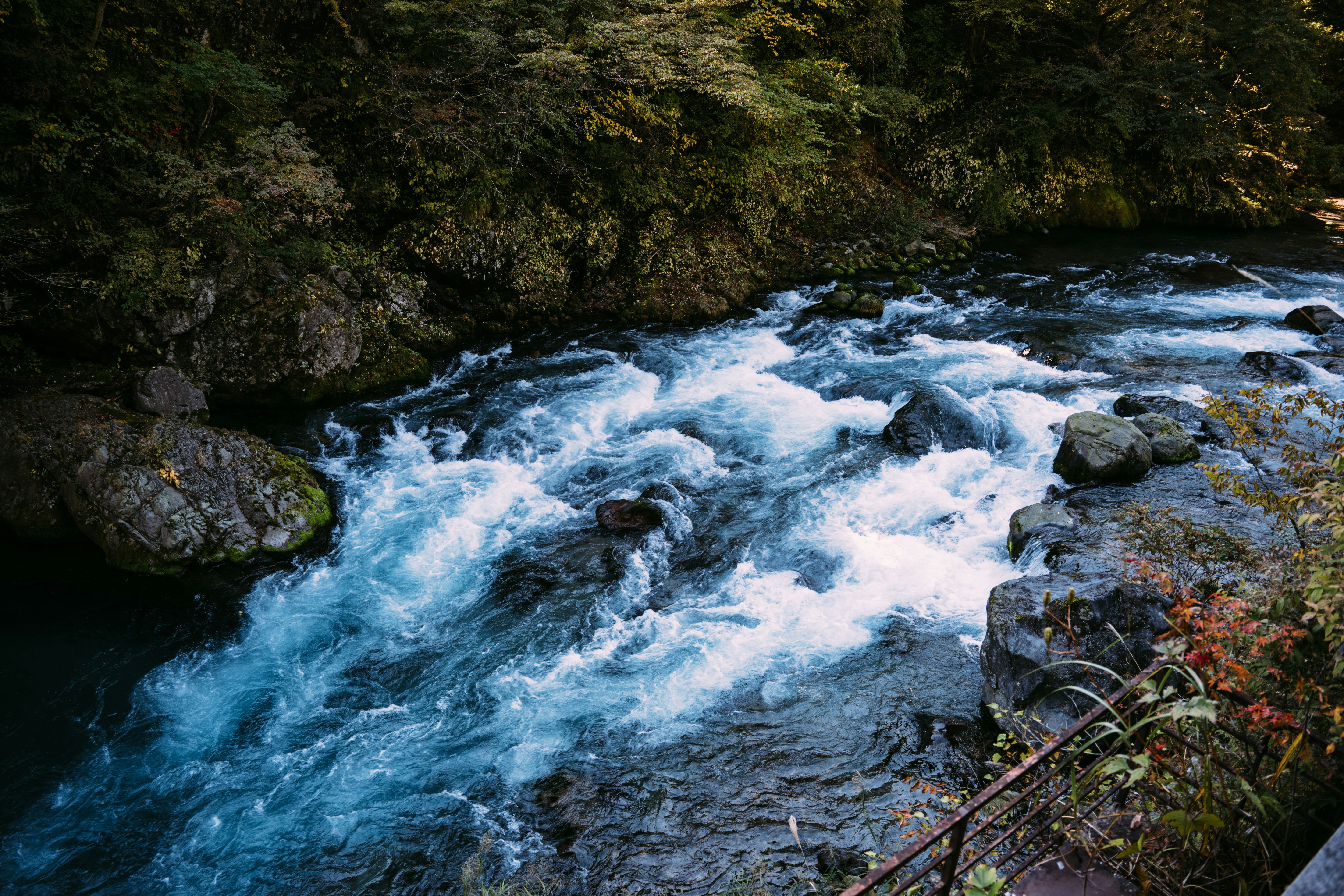 Foto Río en medio del bosque – Imagen Montaña:ciudad:al aire libre:agua ...