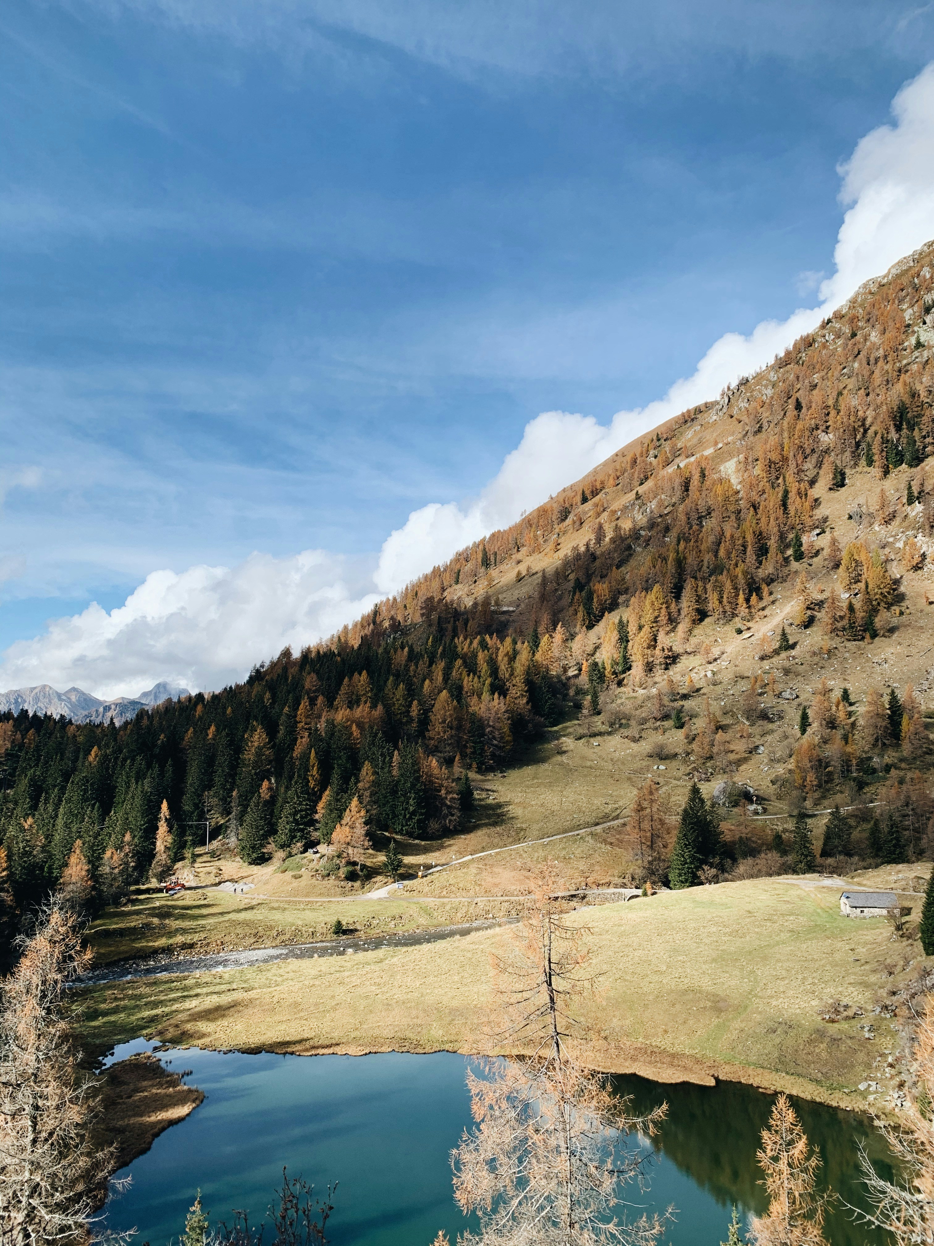 Golden larch trees blanket the mountainside, reflecting in a tranquil alpine lake under a bright sky. The scene captures the essence of autumn in the mountains.