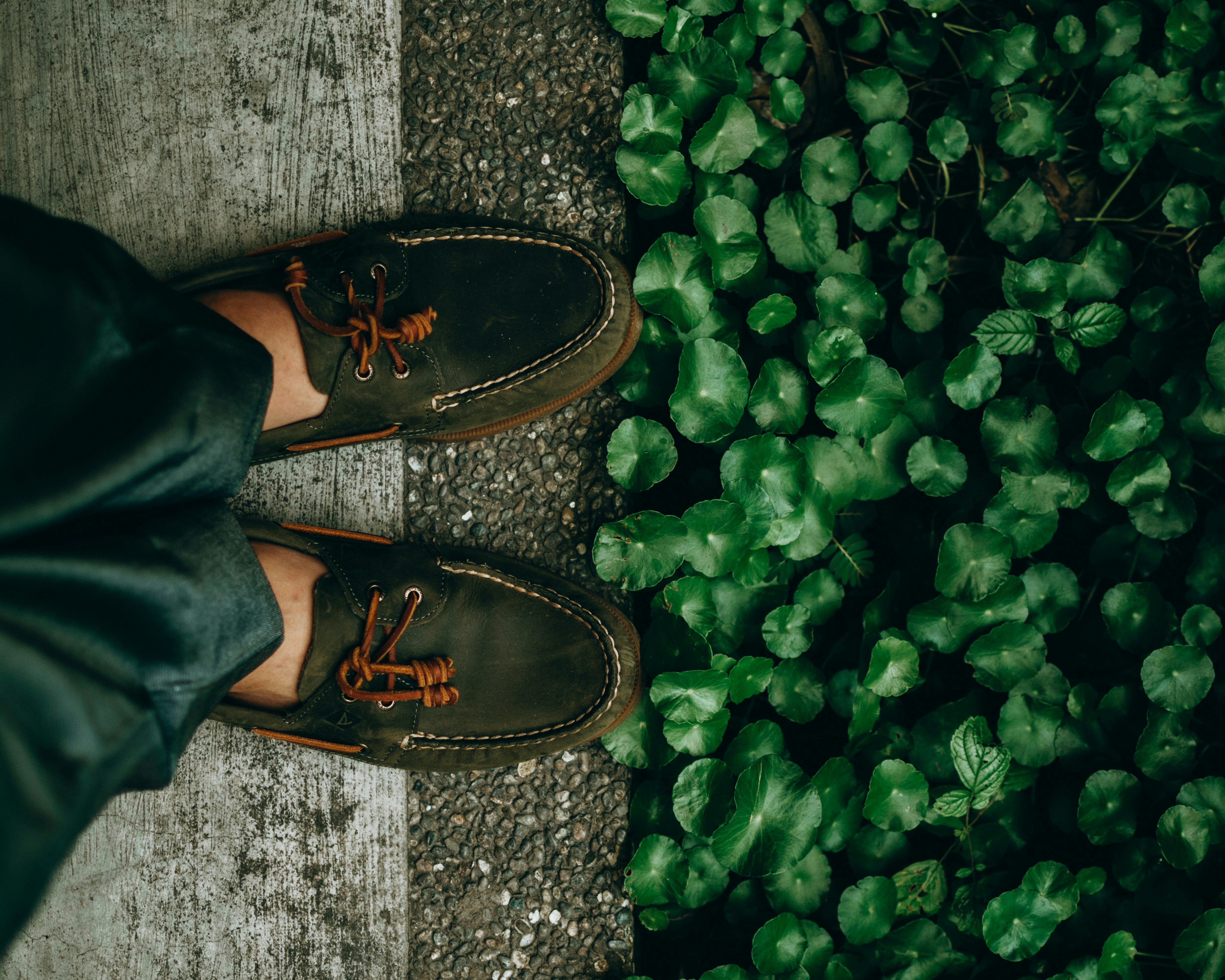 Feet in casual shoes positioned on a concrete path beside lush green foliage. The contrast between the textures highlights the transition from man-made to natural elements.