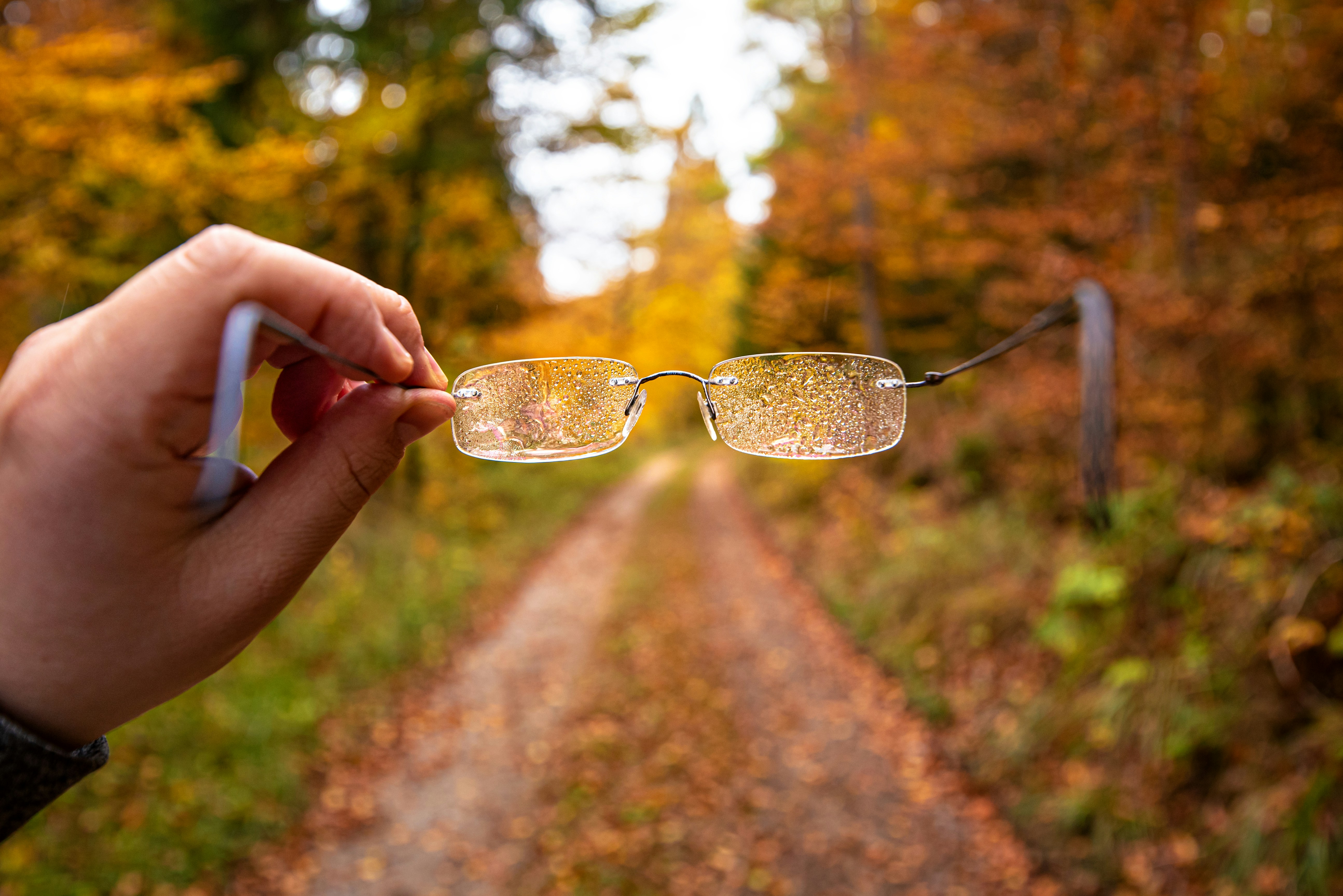 Glasses in Focus: A Leafy Autumn Path Framed by a Delicate Frame