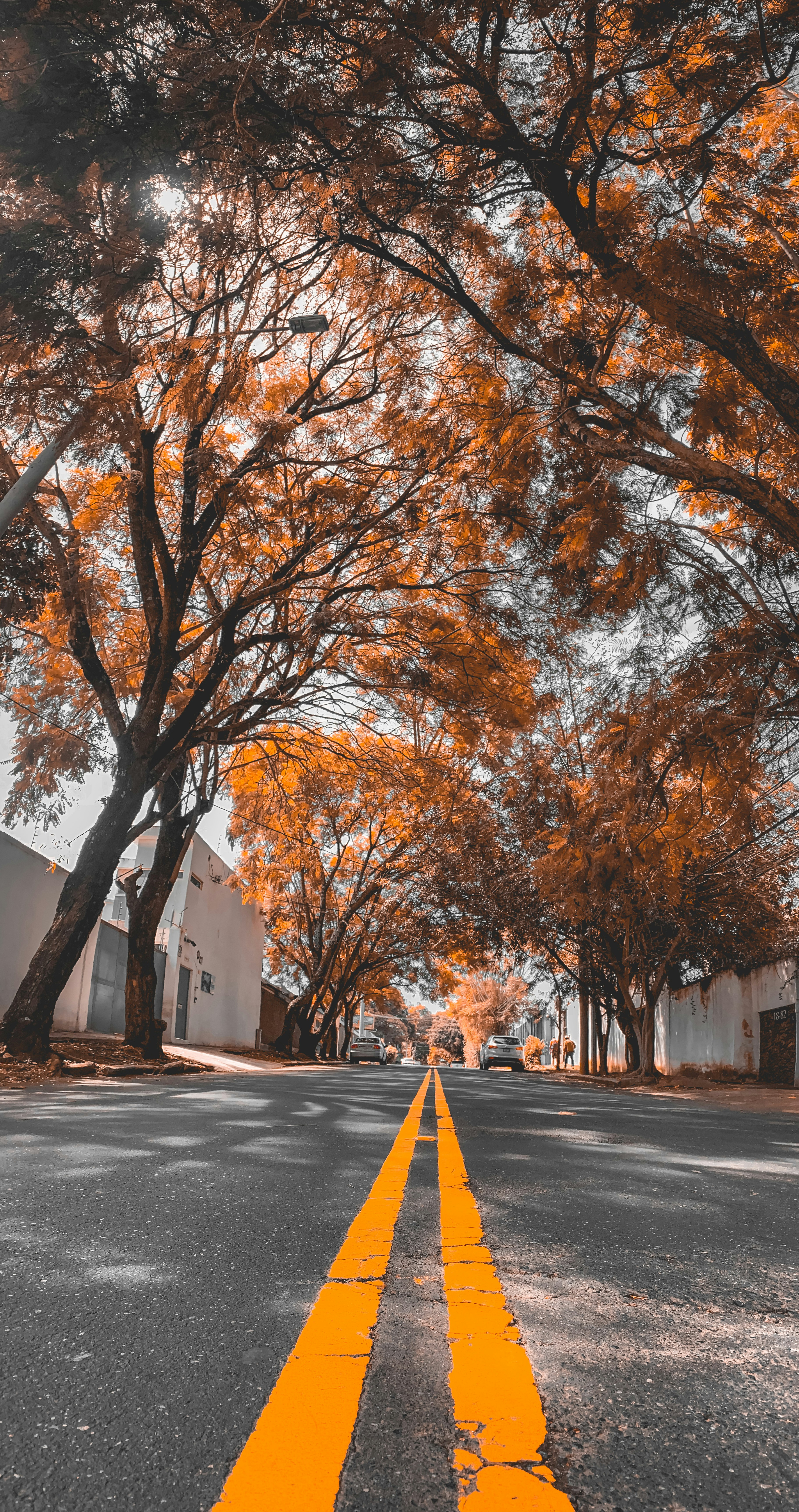 Orange canopy over a quiet city street