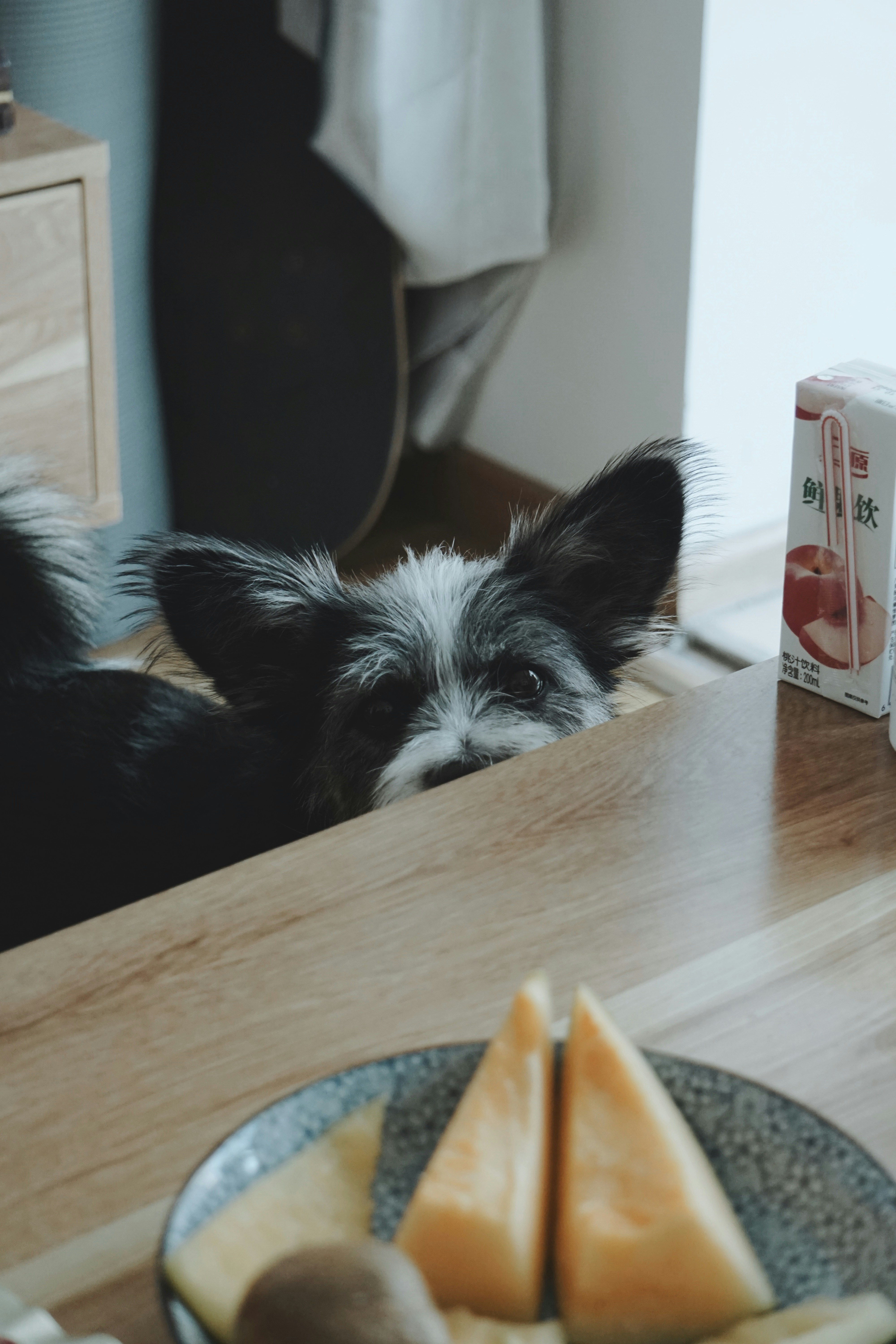 Whiskered Watcher at Dinnertime: A Furry Peek Over the Table