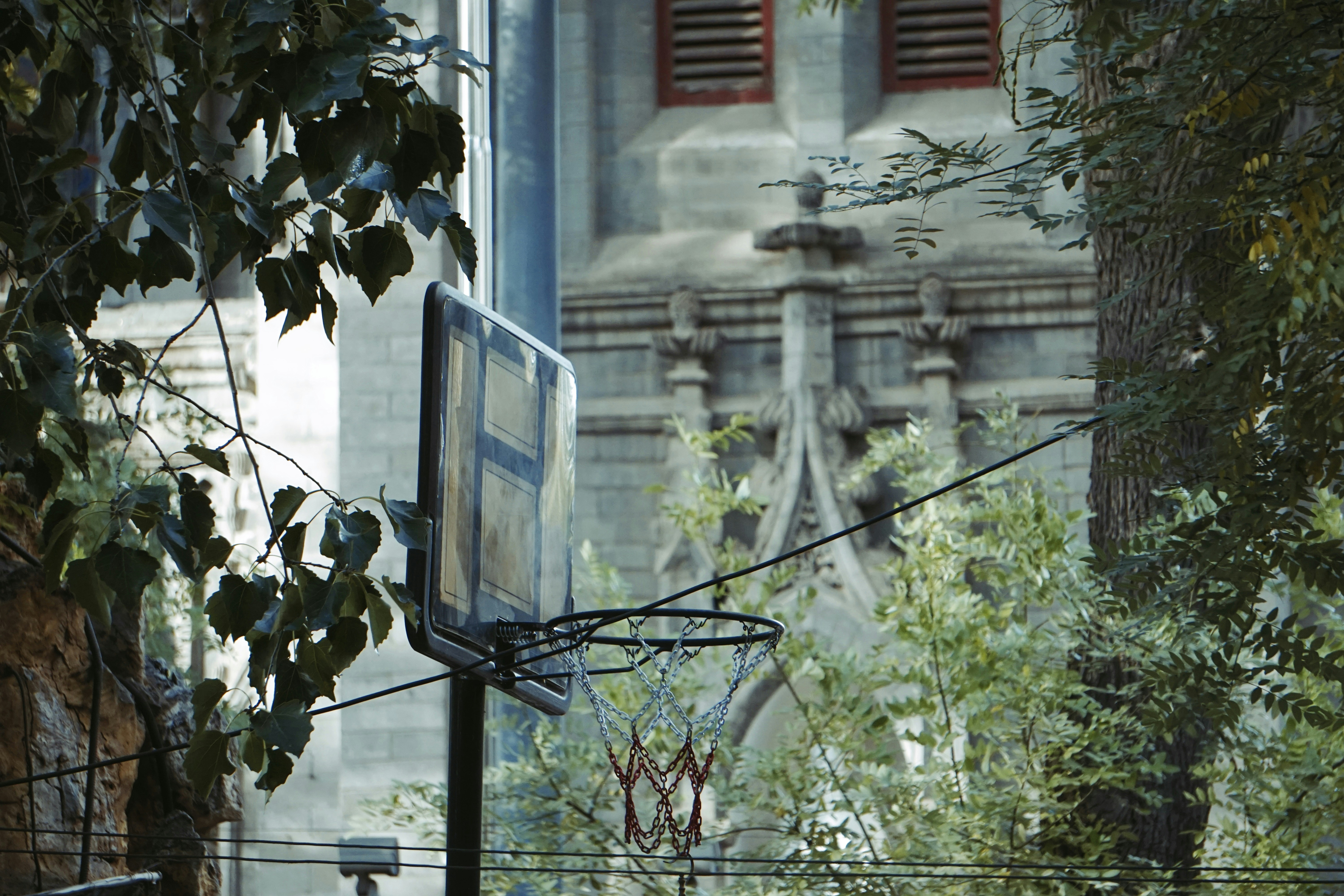 Basketball Hoop Framed by Greenery and Urban Architecture