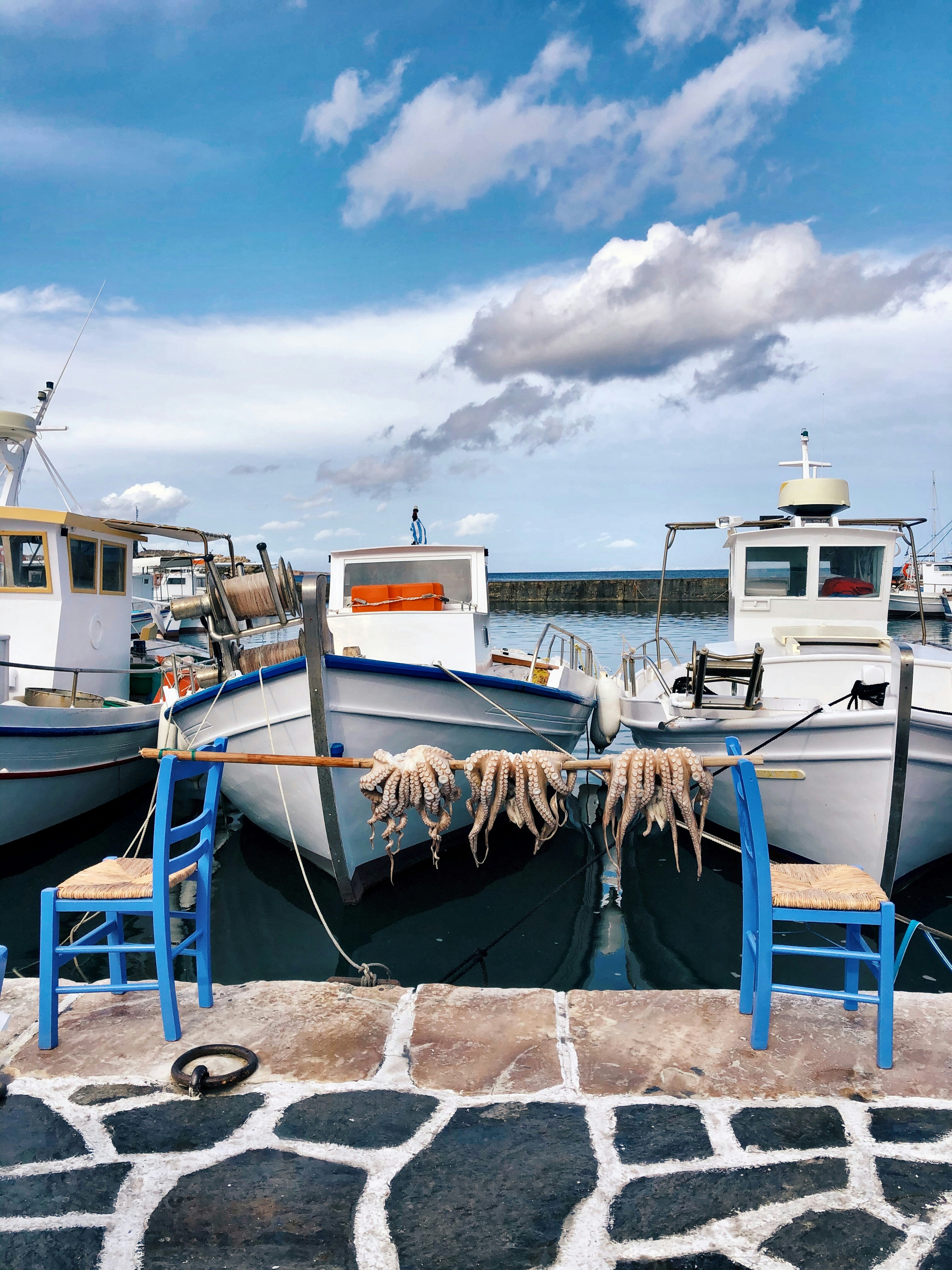 Octopus hangs on a wooden rod between two blue chairs at a harbor, surrounded by fishing boats under a cloudy sky.