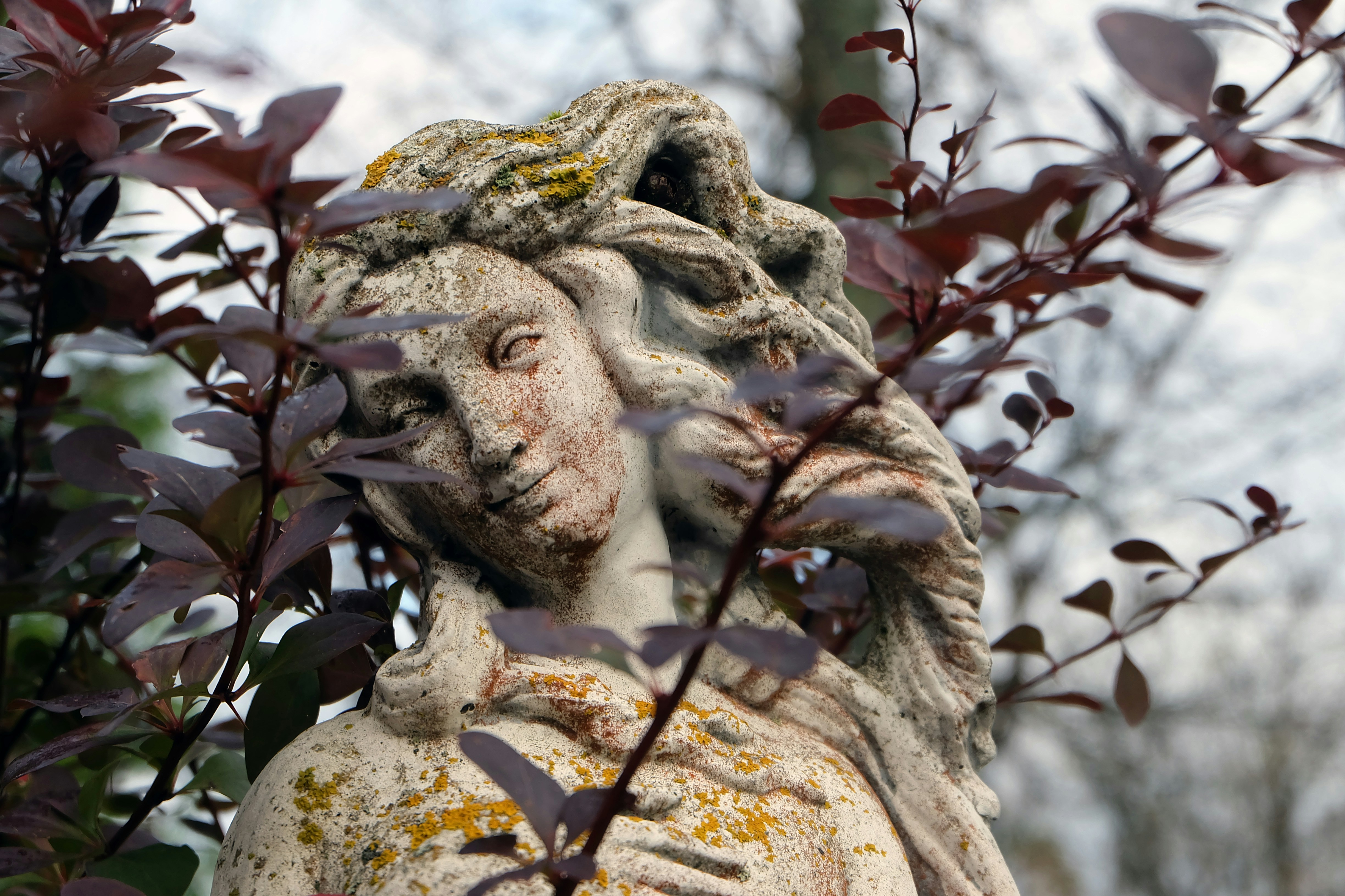 Statue de visage humain en béton brun photo – Photo Gris Gratuite sur ...