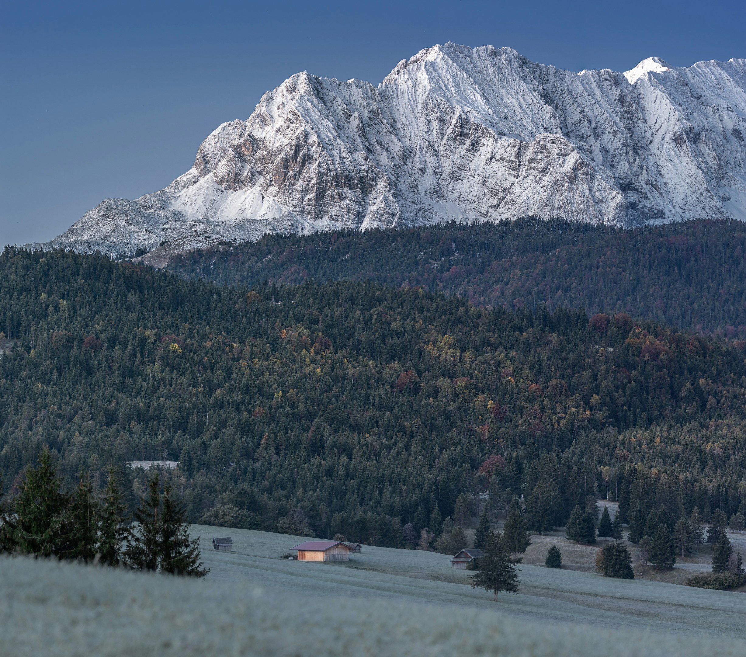 Snow-Crowned Peaks Loom Over a Pine-Flecked Valley