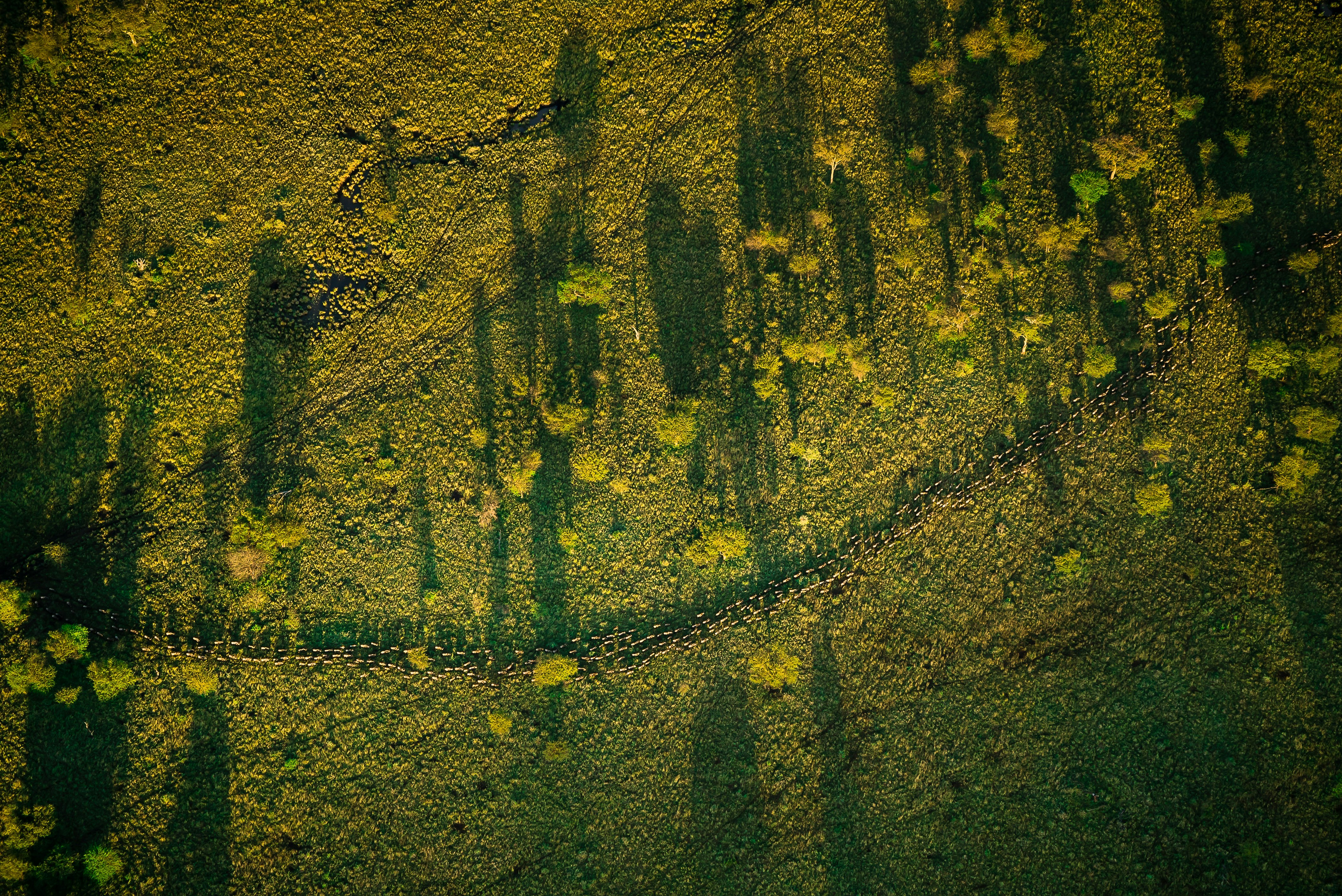 Green and black abstract painting photo – Free Tanzania Image on Unsplash