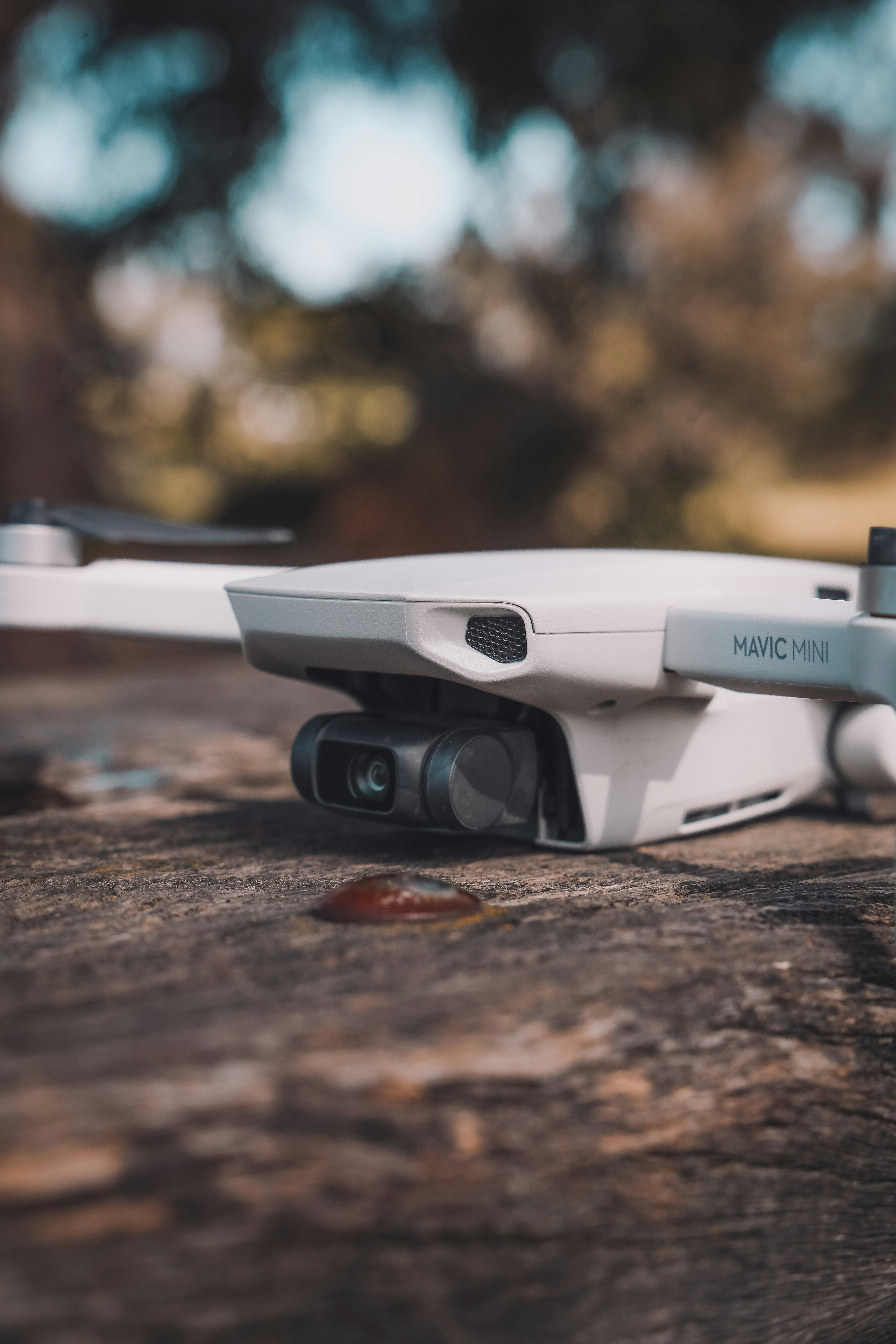 Grain and Glide: A Mavic Mini Resting on Weathered Wood with a Sharp Gimbal