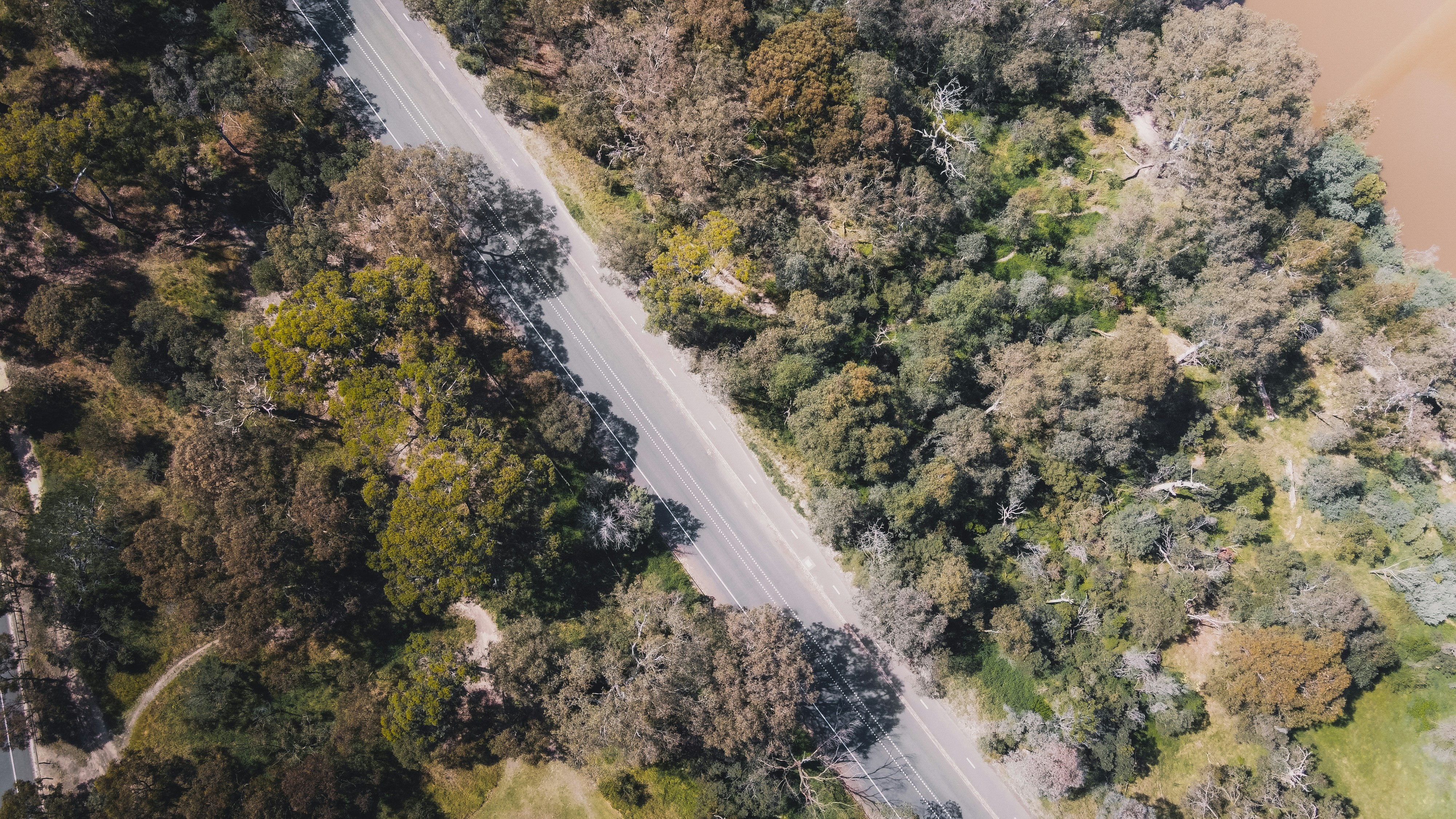 Aerial view of a winding road flanked by dense trees, showcasing the harmony between nature and infrastructure.