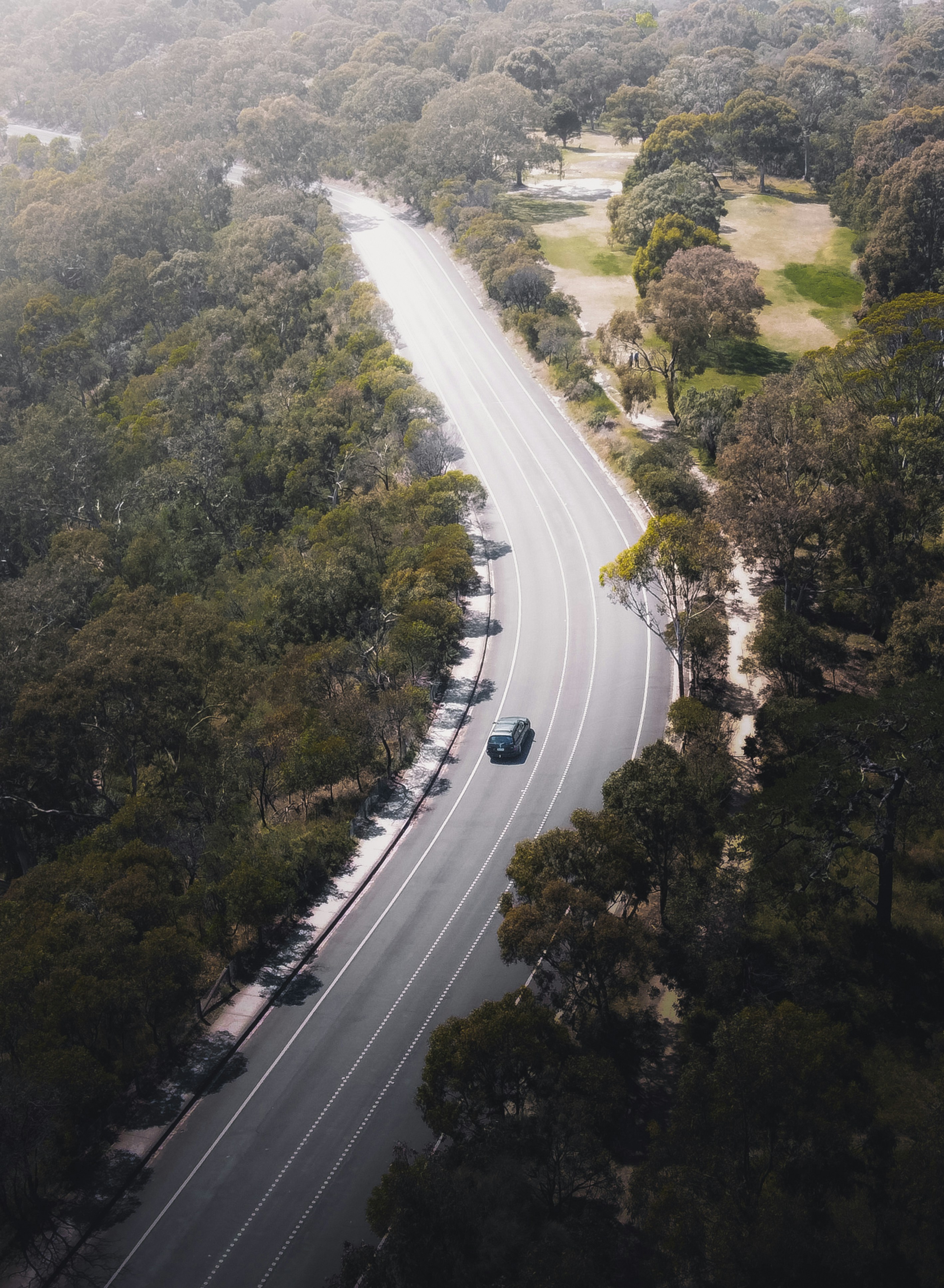 Winding Ribbon: A lone car threads a forested road from above