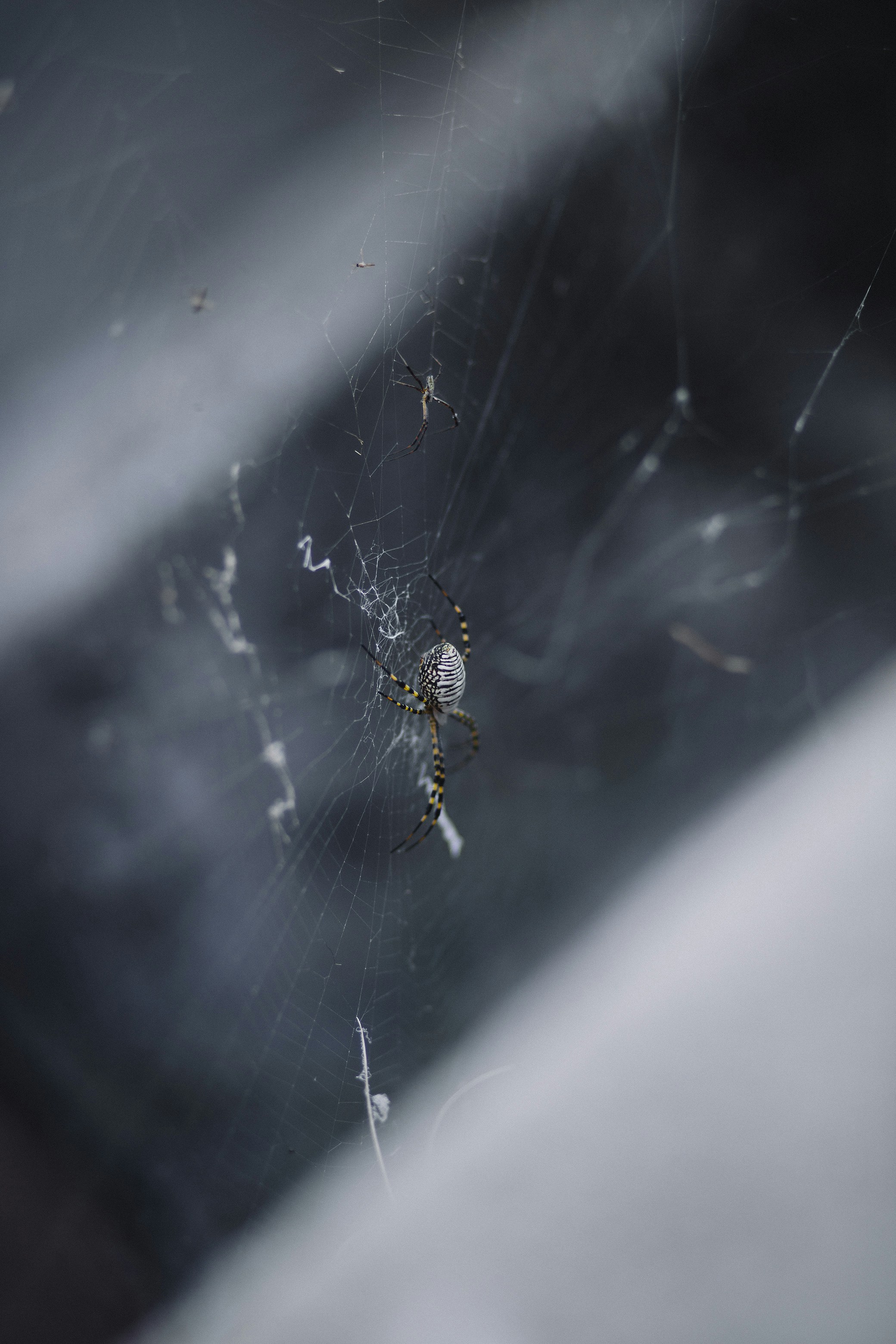 500+ Poison Pictures [HD] | Download Free Images on Unsplash