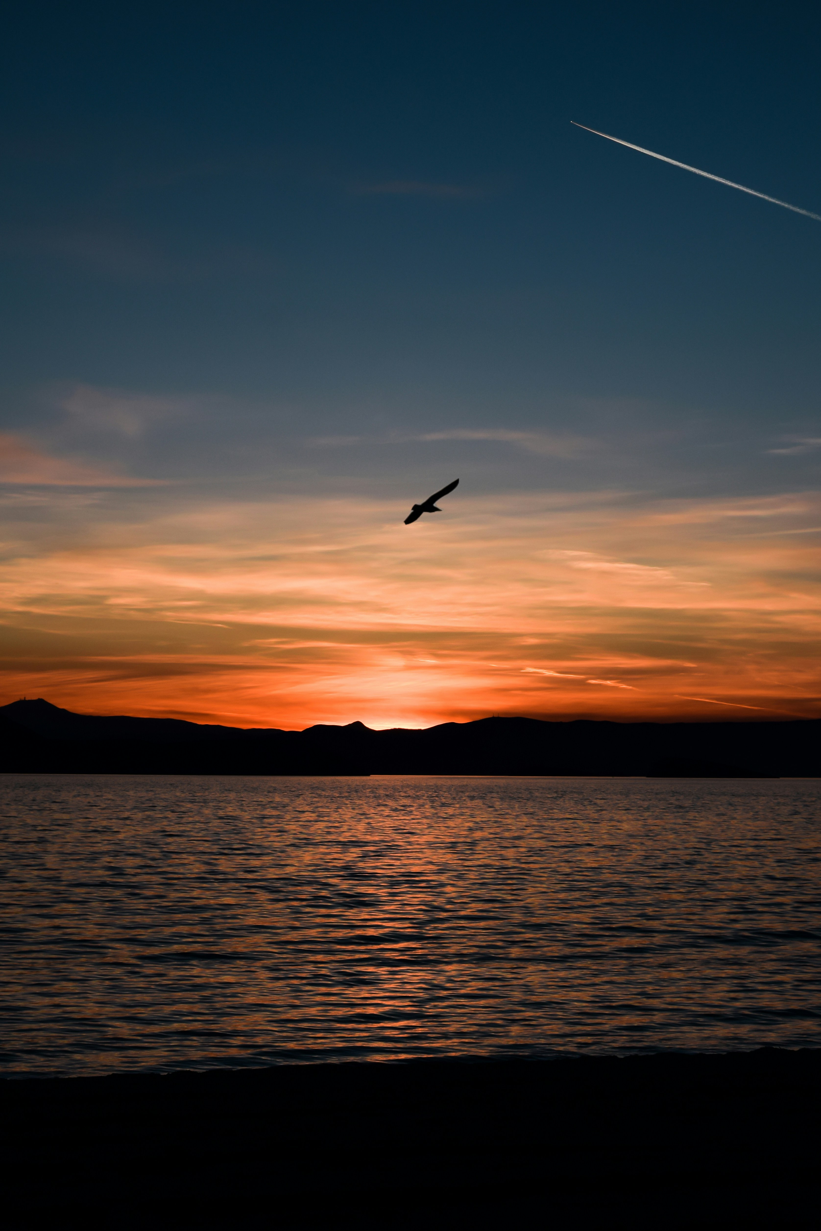 A solitary bird glides across a vibrant sunset over a tranquil body of water, highlighting the interplay of light and shadow.