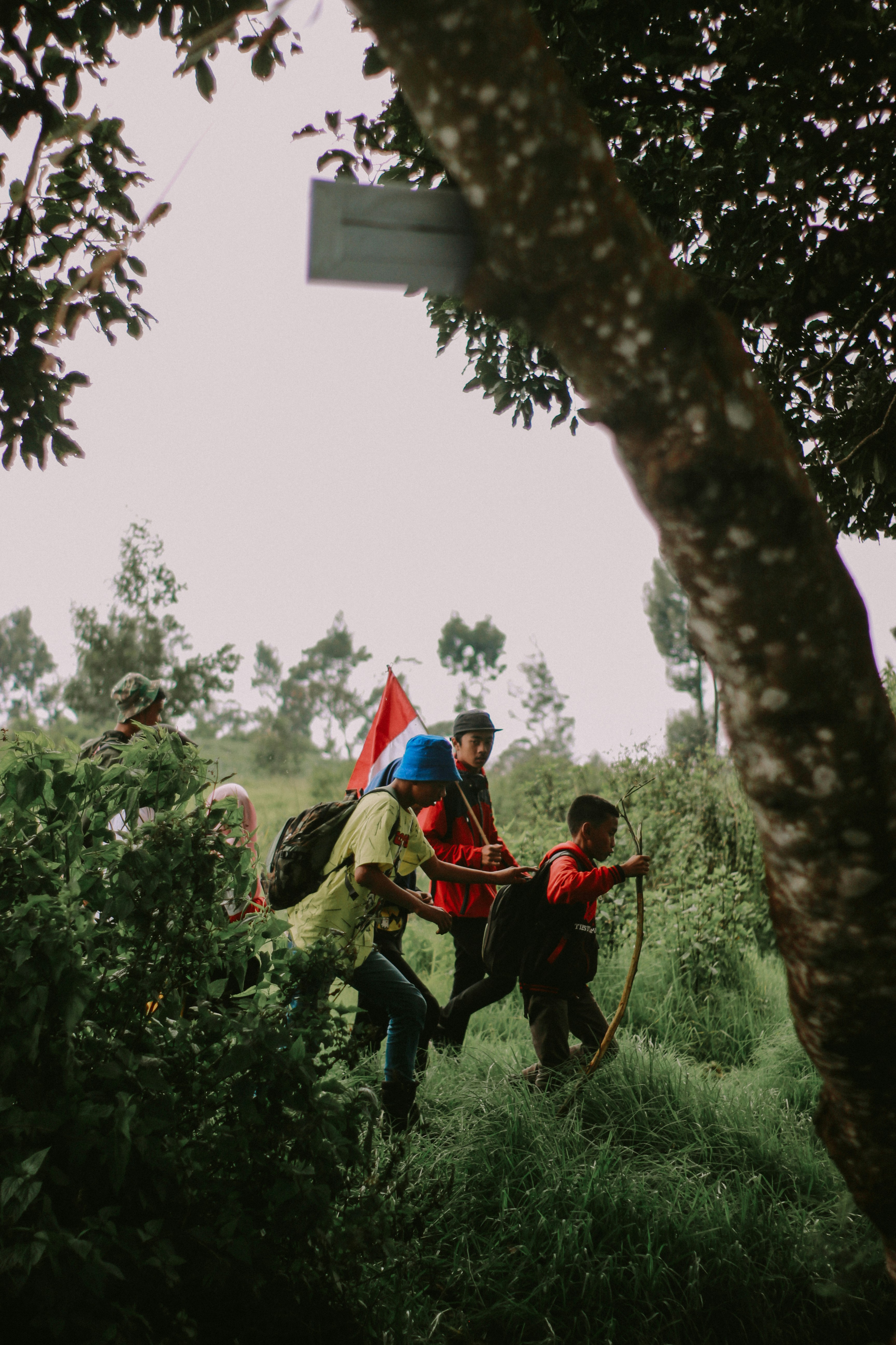 A group of hikers navigating through dense greenery, carrying flags and bows, embodying adventure and camaraderie.