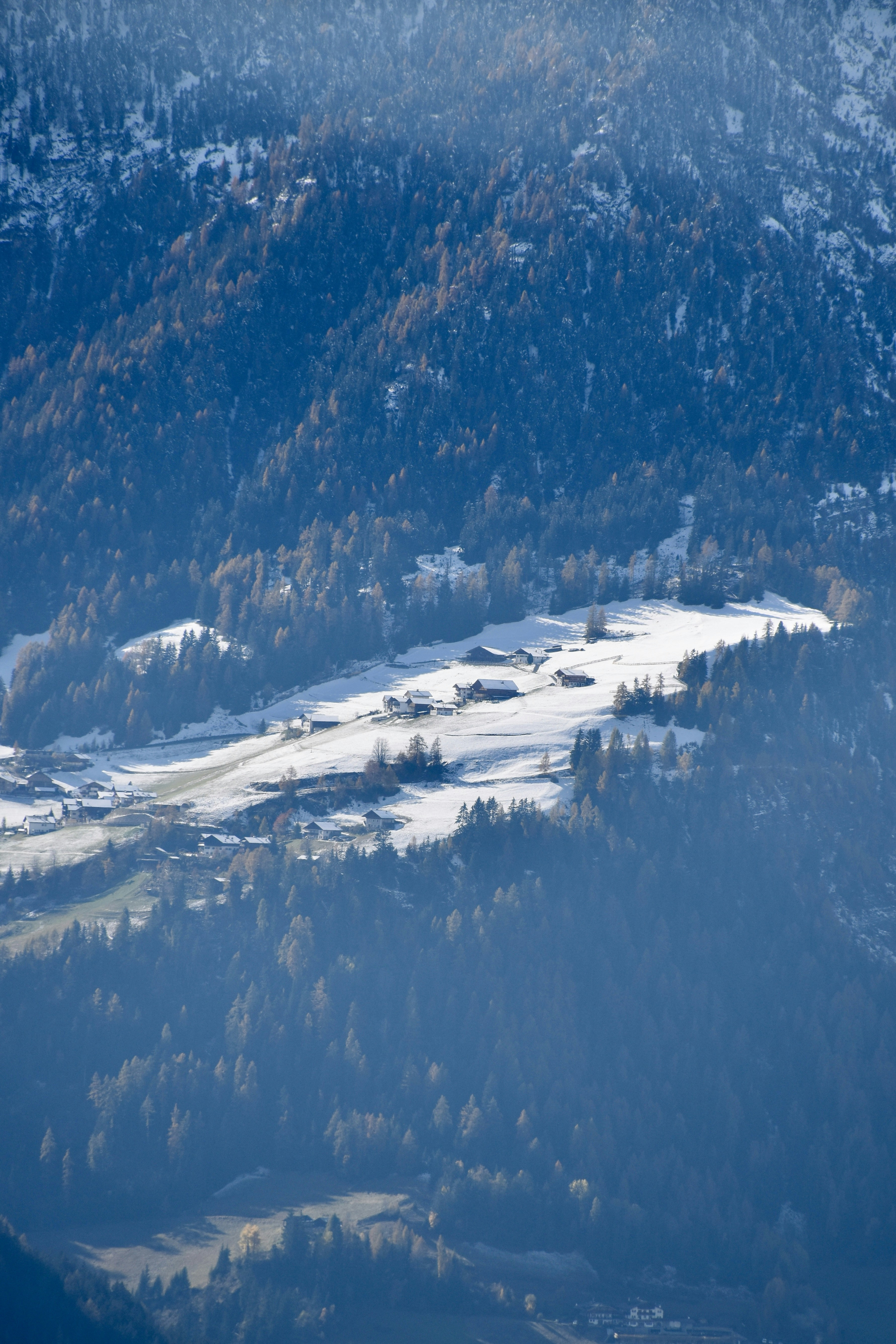 Snow-Kissed Hamlet Nestled on a Pine-Draped Alpine Slope
