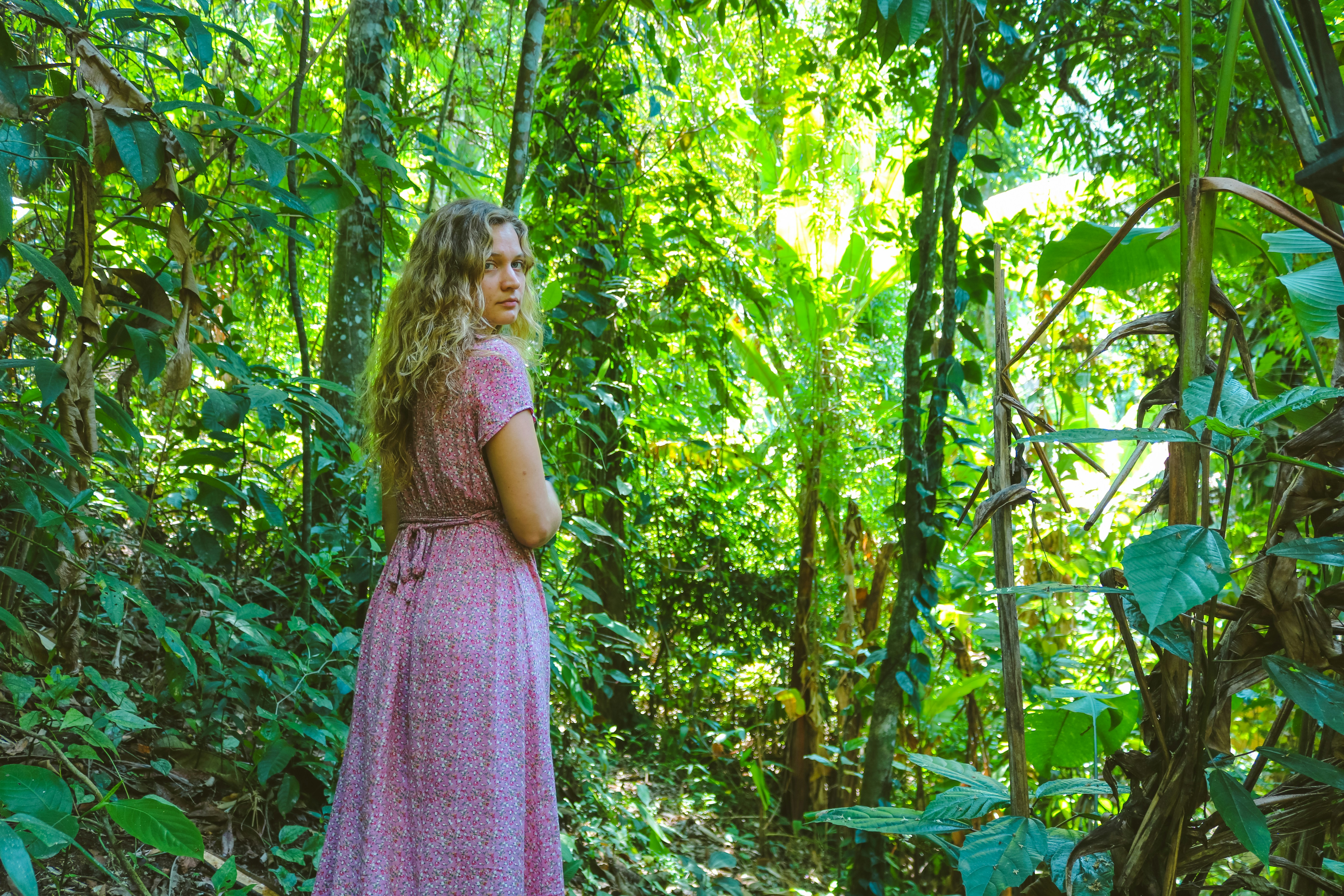 Woman in a purple dress standing amidst lush green forest foliage.