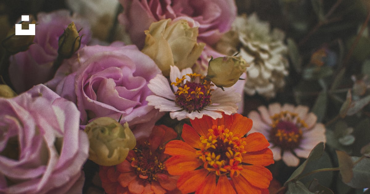 Foto Flores Rosadas Y Anaranjadas Con Hojas Verdes Imagen Flor Gratis