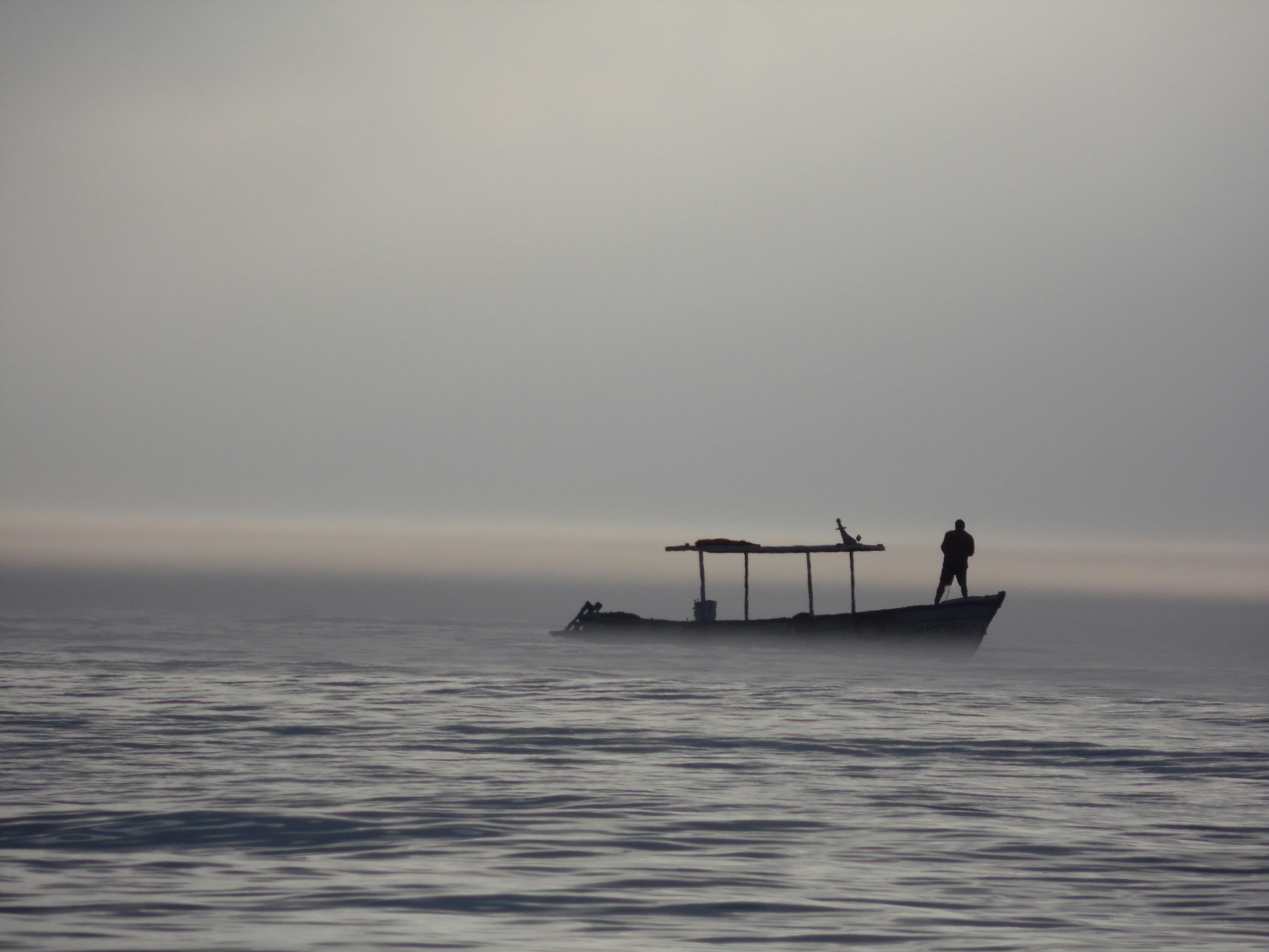 Solitary Journey on a Misty Horizon