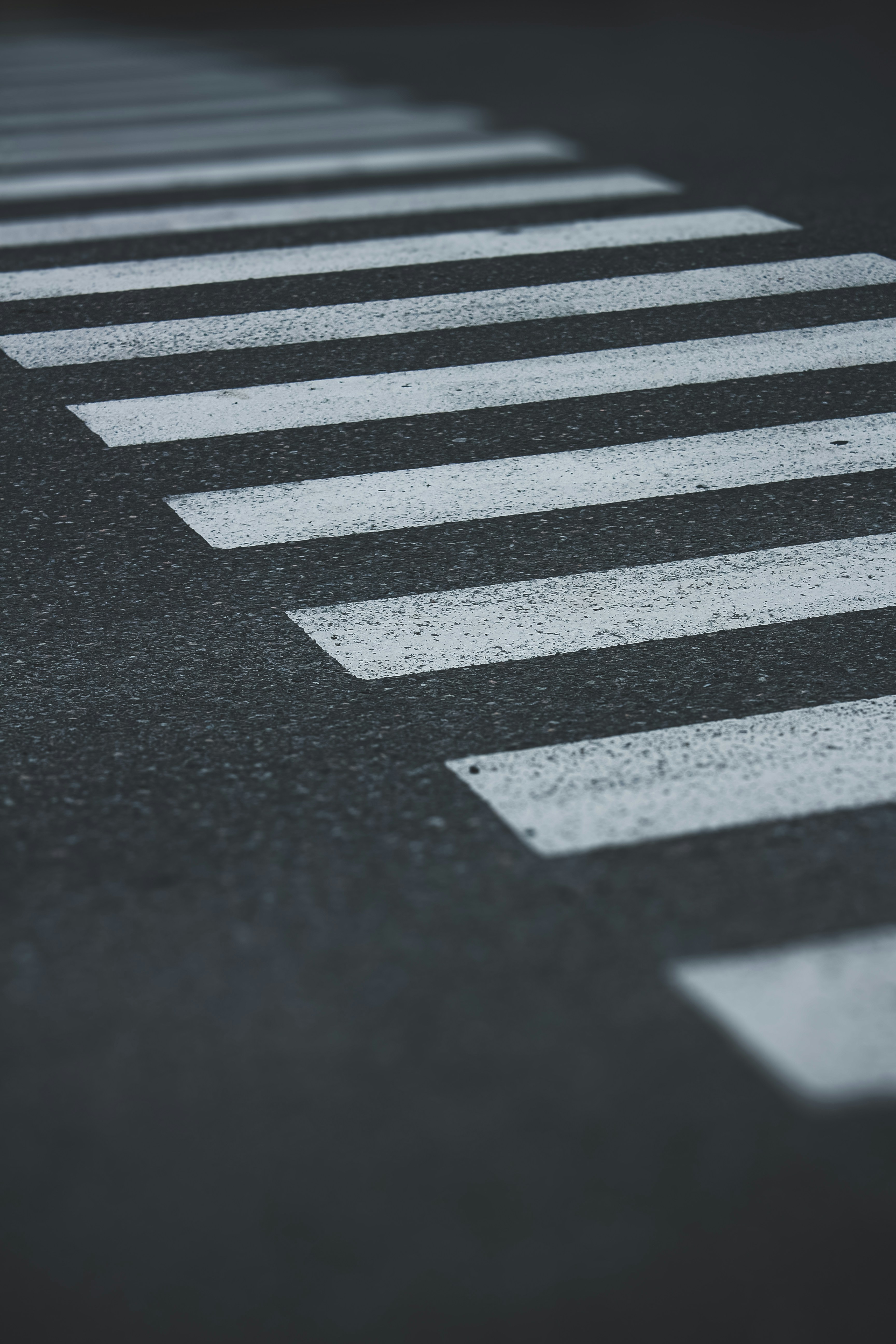 Zebra Cross Pictures | Download Free Images on Unsplash