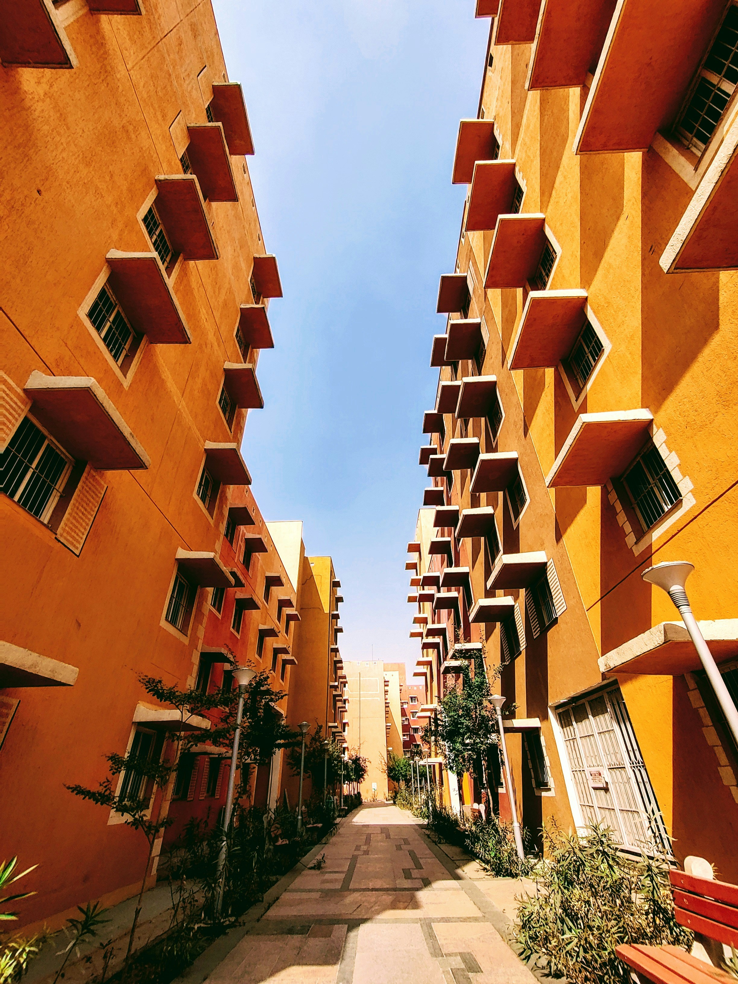 Orange Geometry: A Sunlit Alley Framed by Balconied Towers