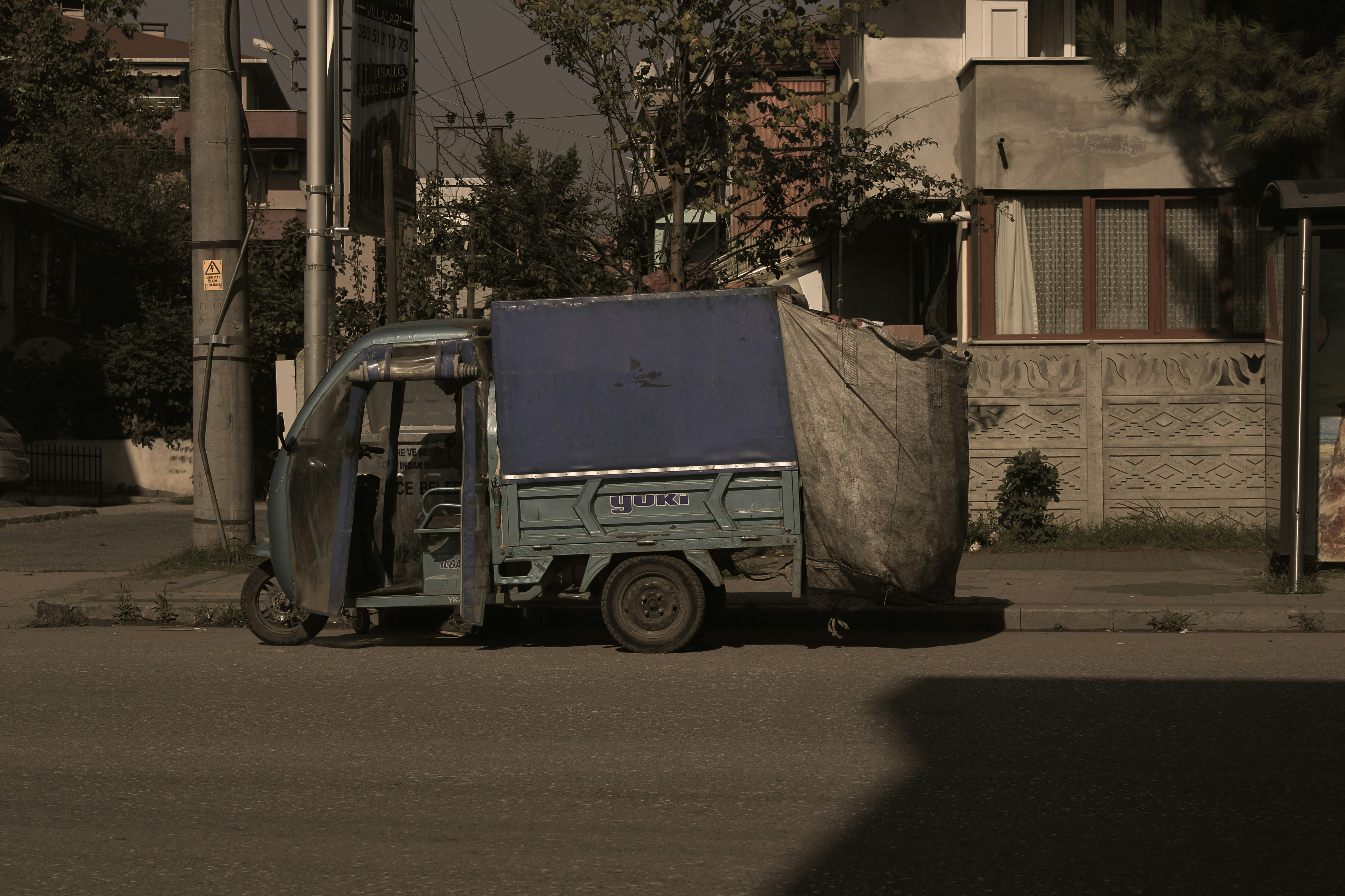 blue and white van parked beside green tree during daytime