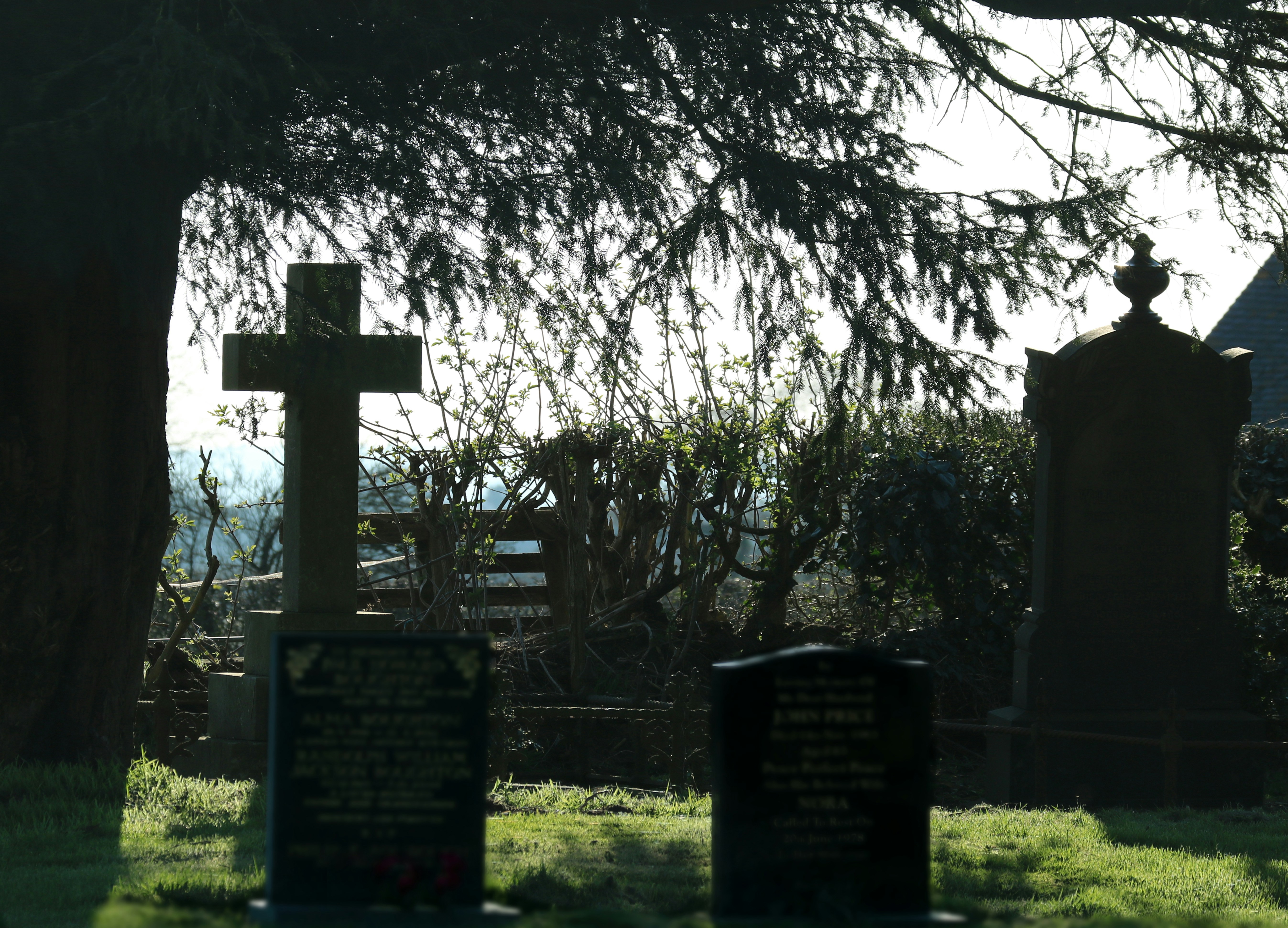 Whispers of Time: A Journey Through Silent Remembrance