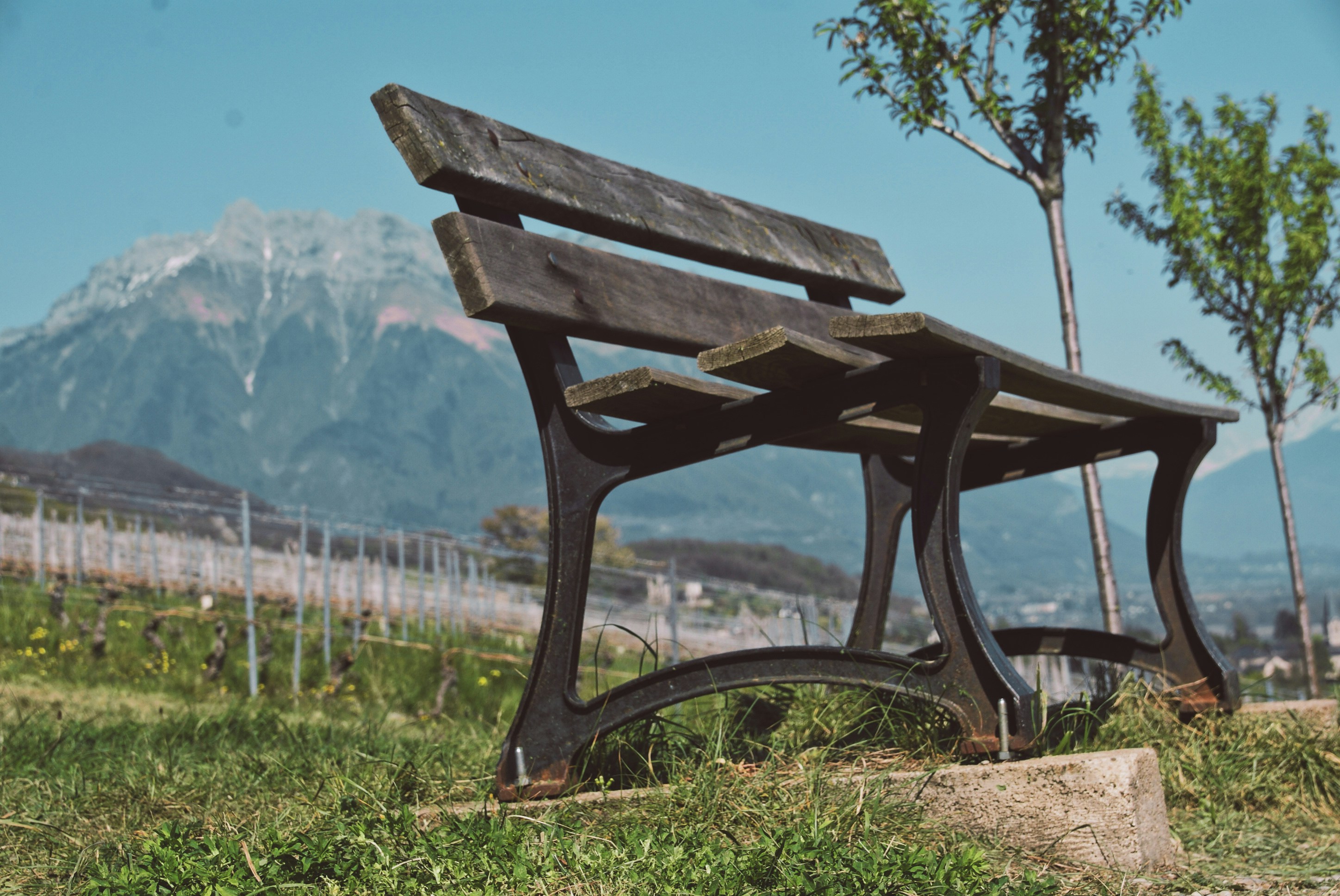 brown wooden bench on green grass field near body of water during daytime