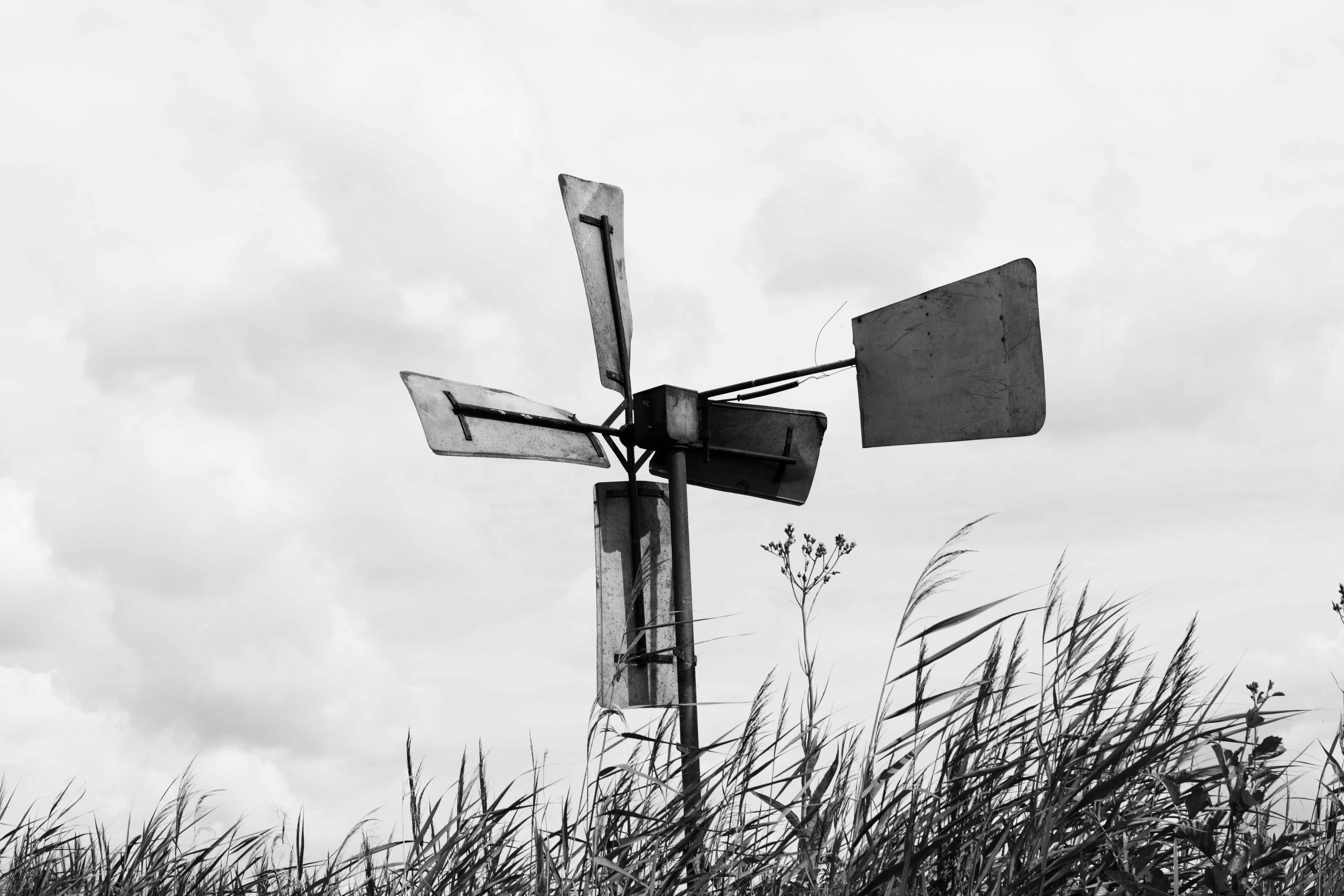 Weathered Signpost Rising Over a Wind-Swept Grass Horizon