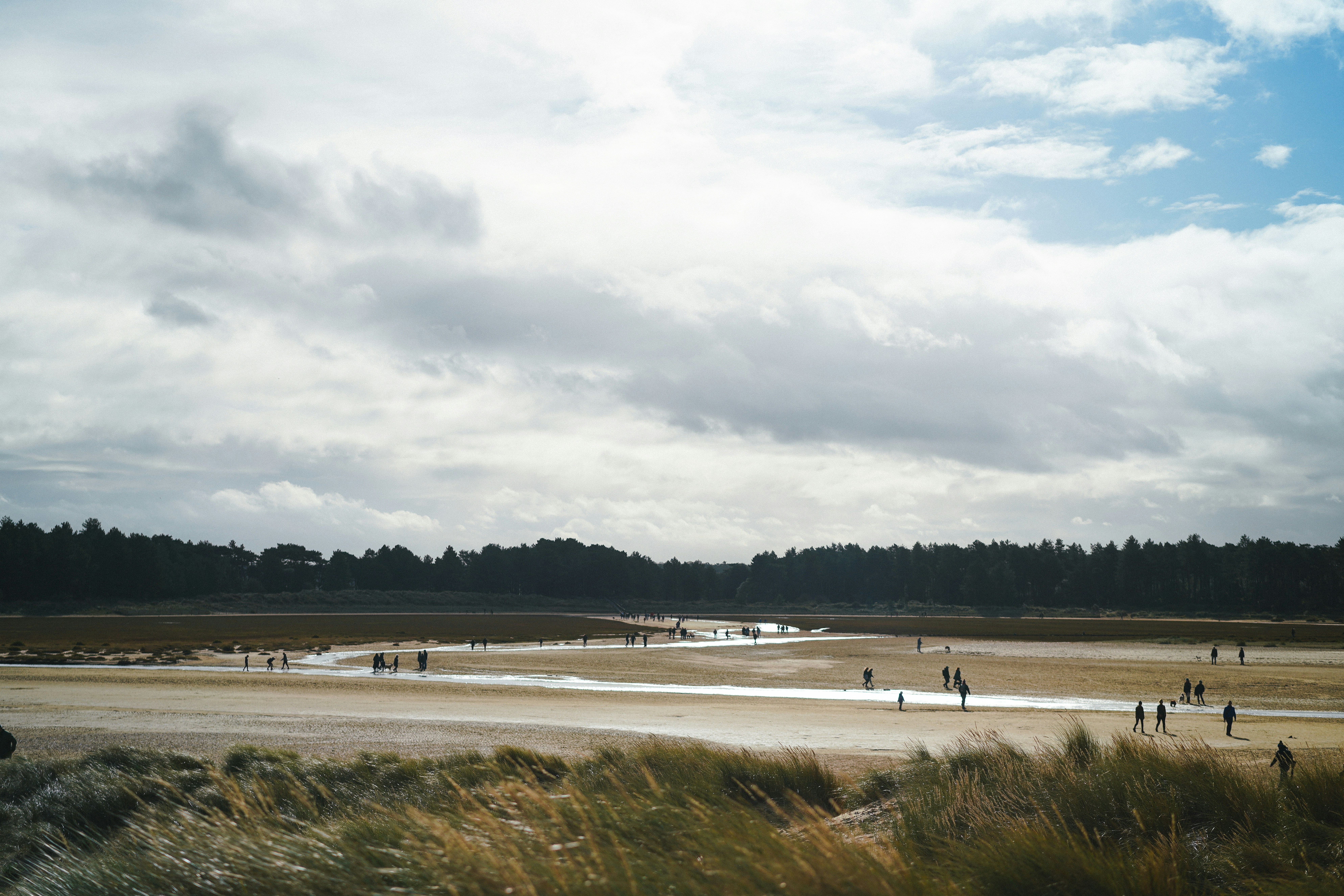Whispering Dunes and the Quiet Tide Walk
