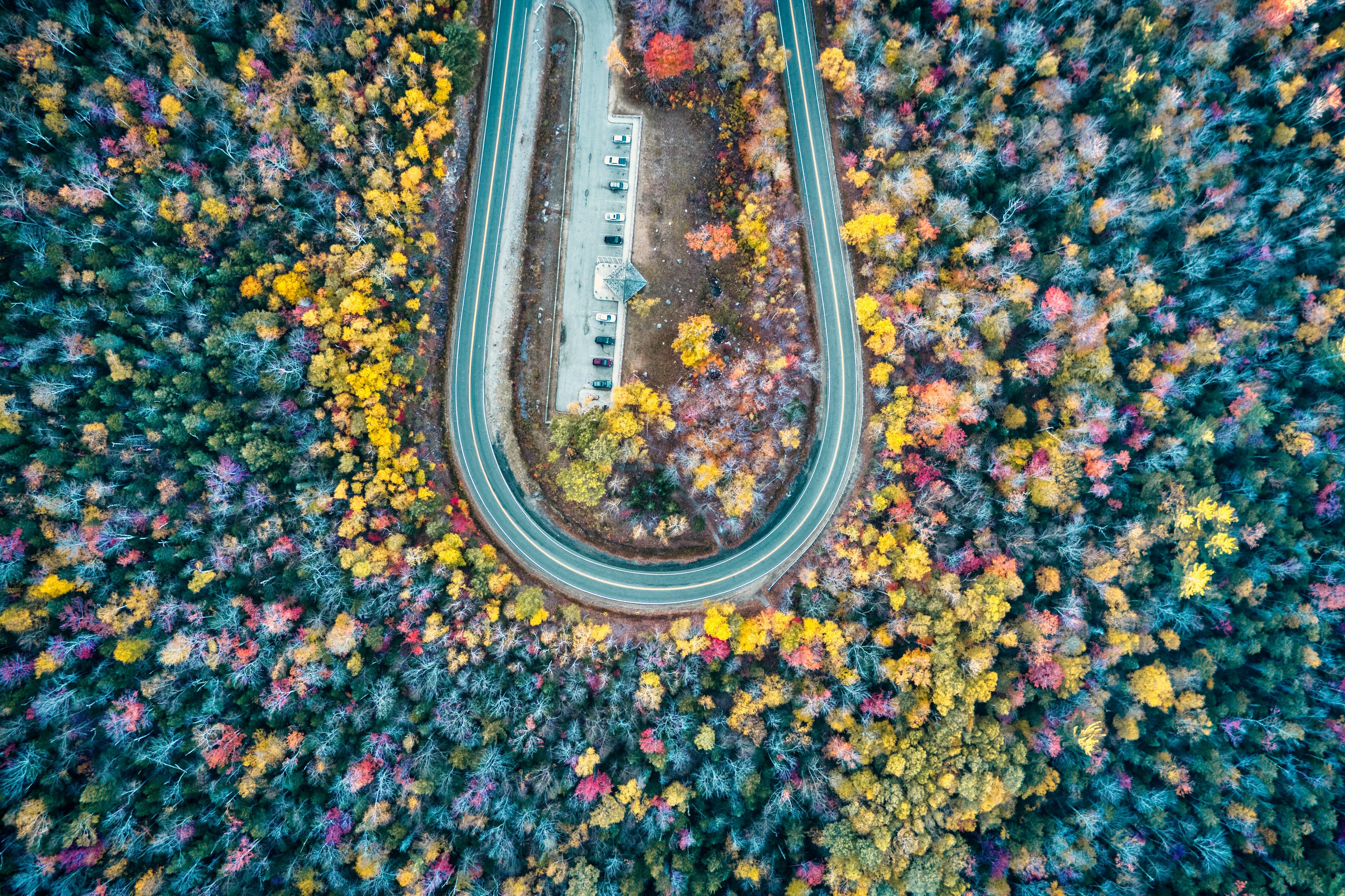 U shaped road running through fall foliage. 