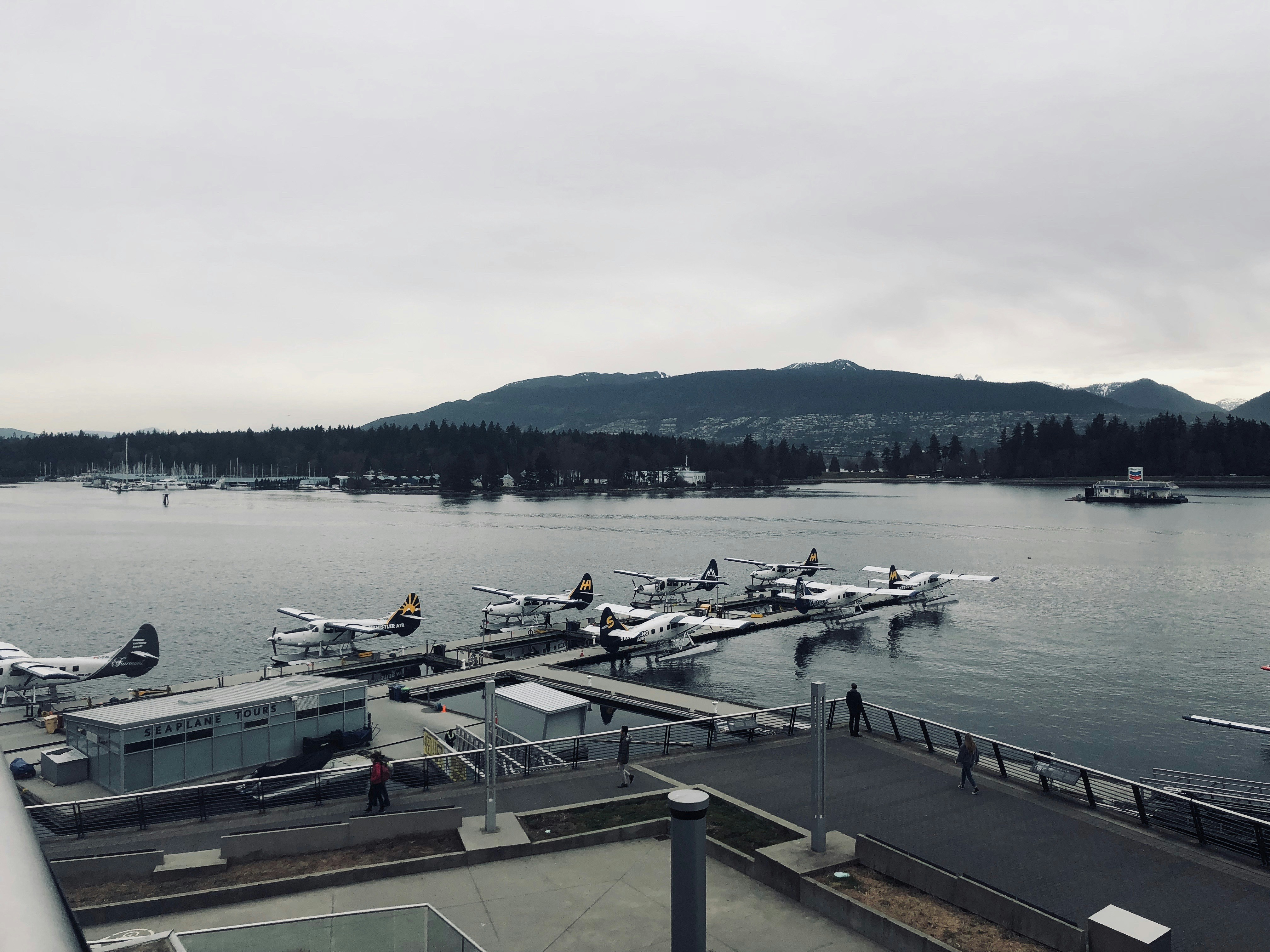 Marina at Distant Ridge: A Row of Planes Docked Along Quiet Waters