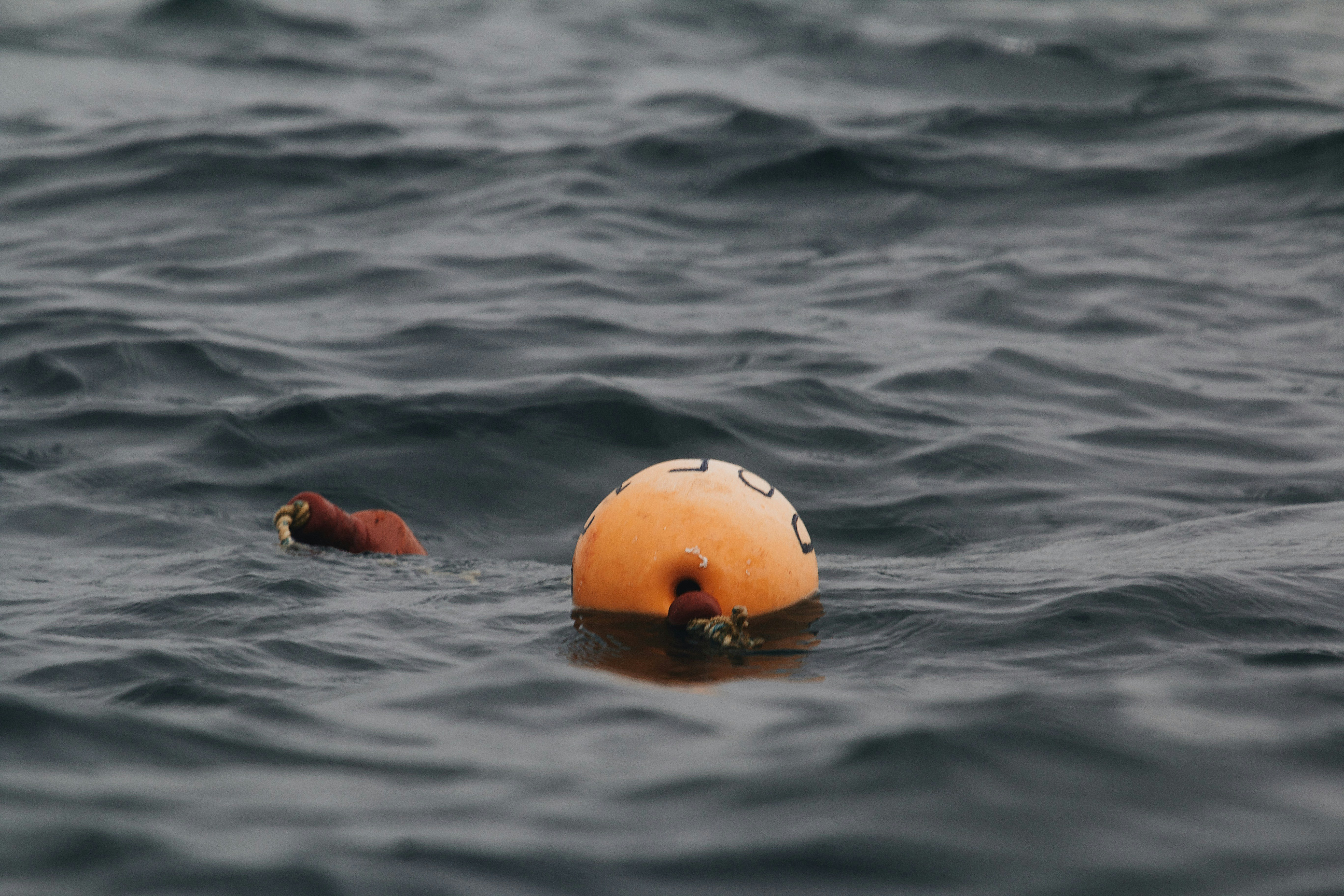 Orange Buoy Drifting Amid Dark Atlantic Ripples