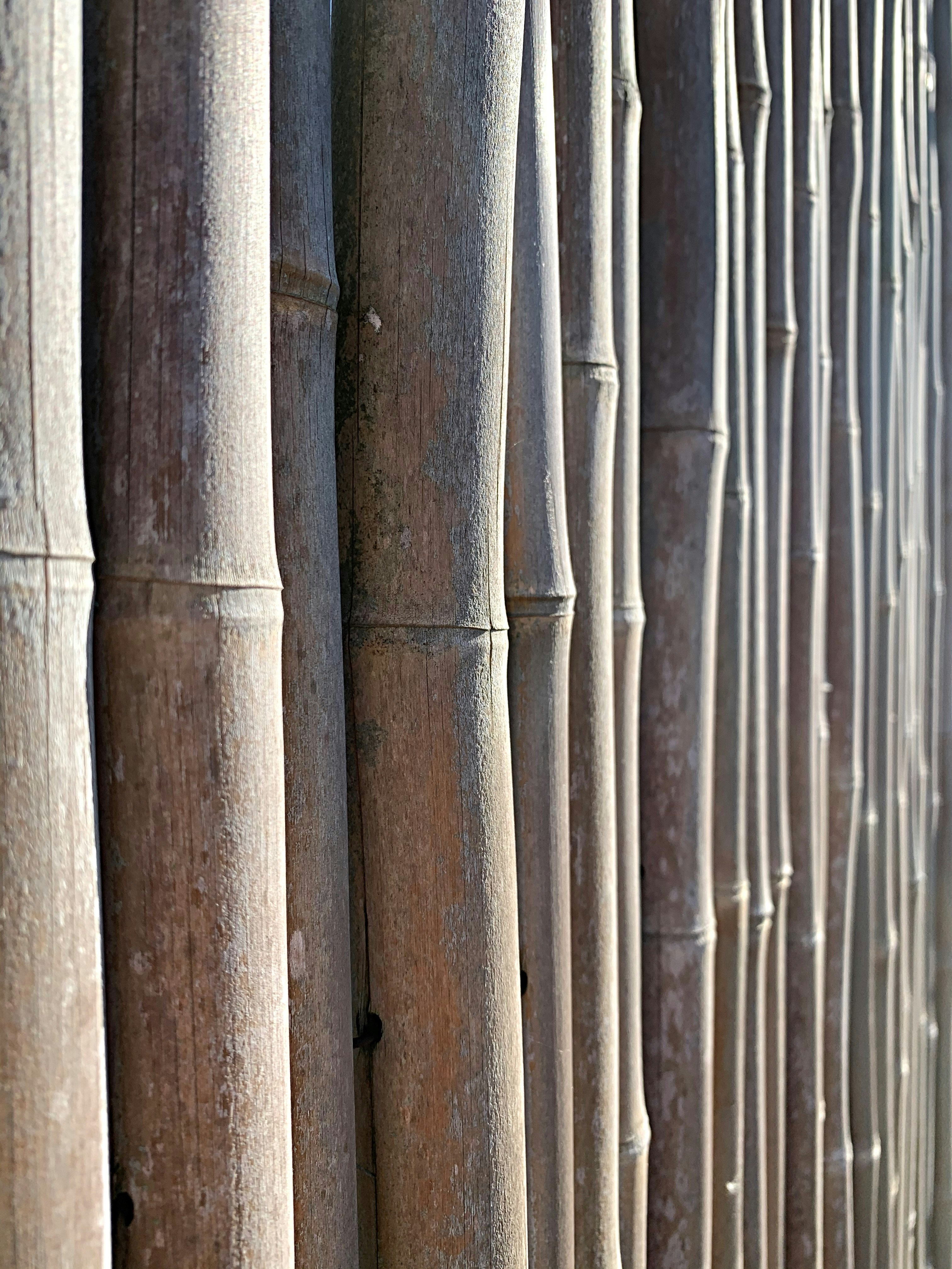 Rhythmic Weathering: Parallel Bamboo Slats in a Narrow Wall