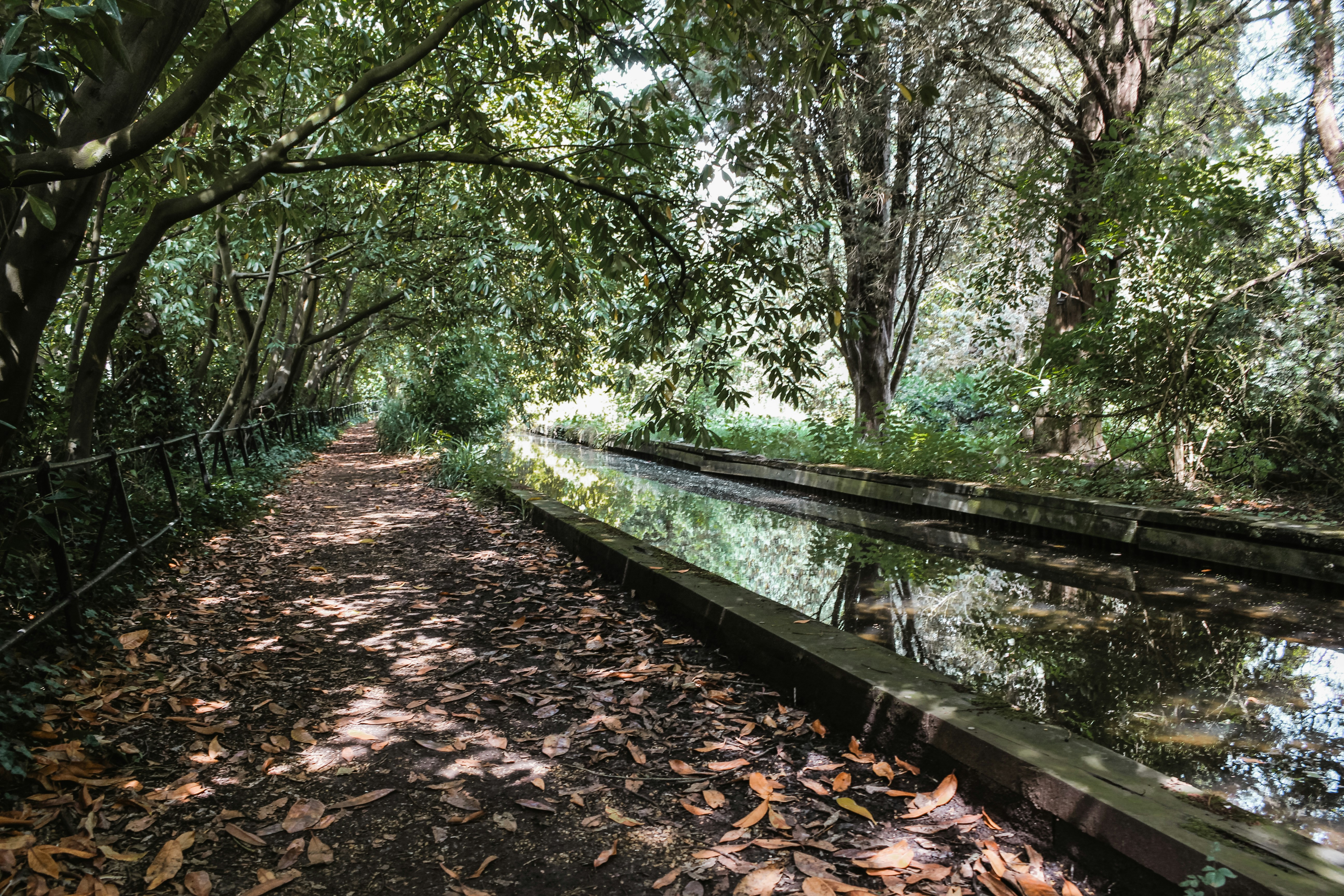 Marty Sakin (@matesaki) | Unsplash 사진 커뮤니티