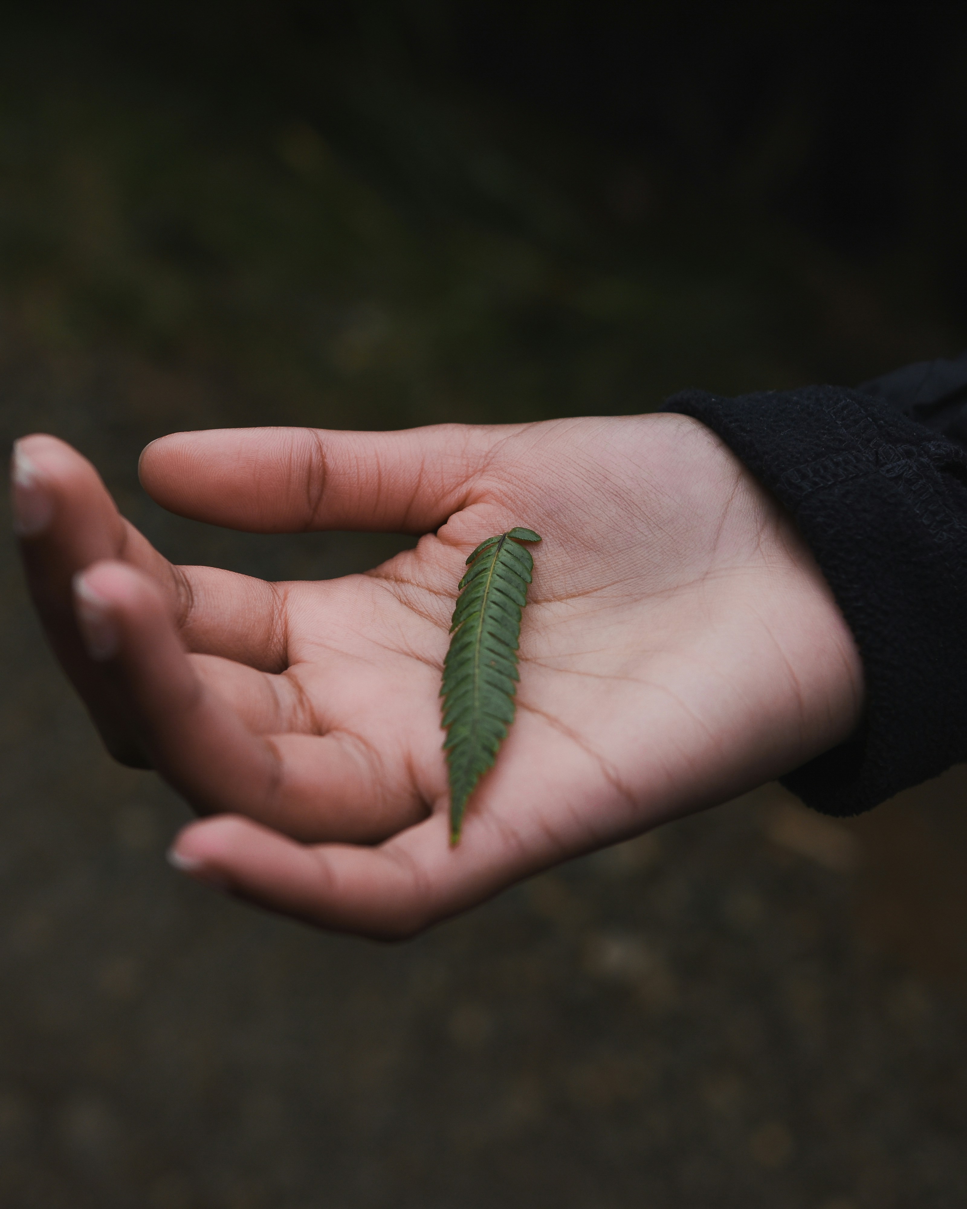A human hand gently cradles a vibrant green leaf, symbolizing a connection to nature. The soft focus background enhances the leaf's intricate details.
