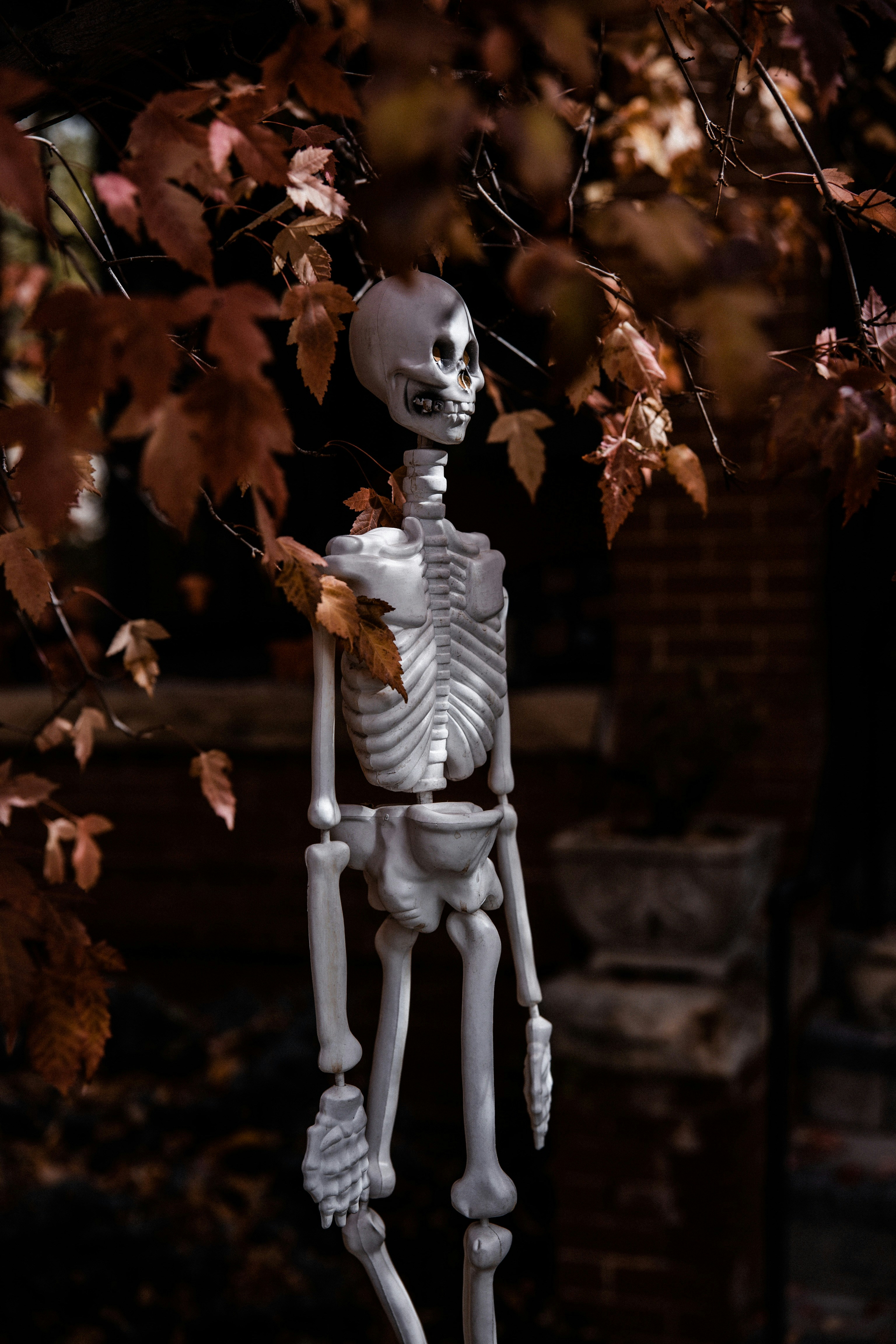 A whimsical skeleton stands amidst vibrant autumn leaves, blending spooky charm with seasonal beauty.
