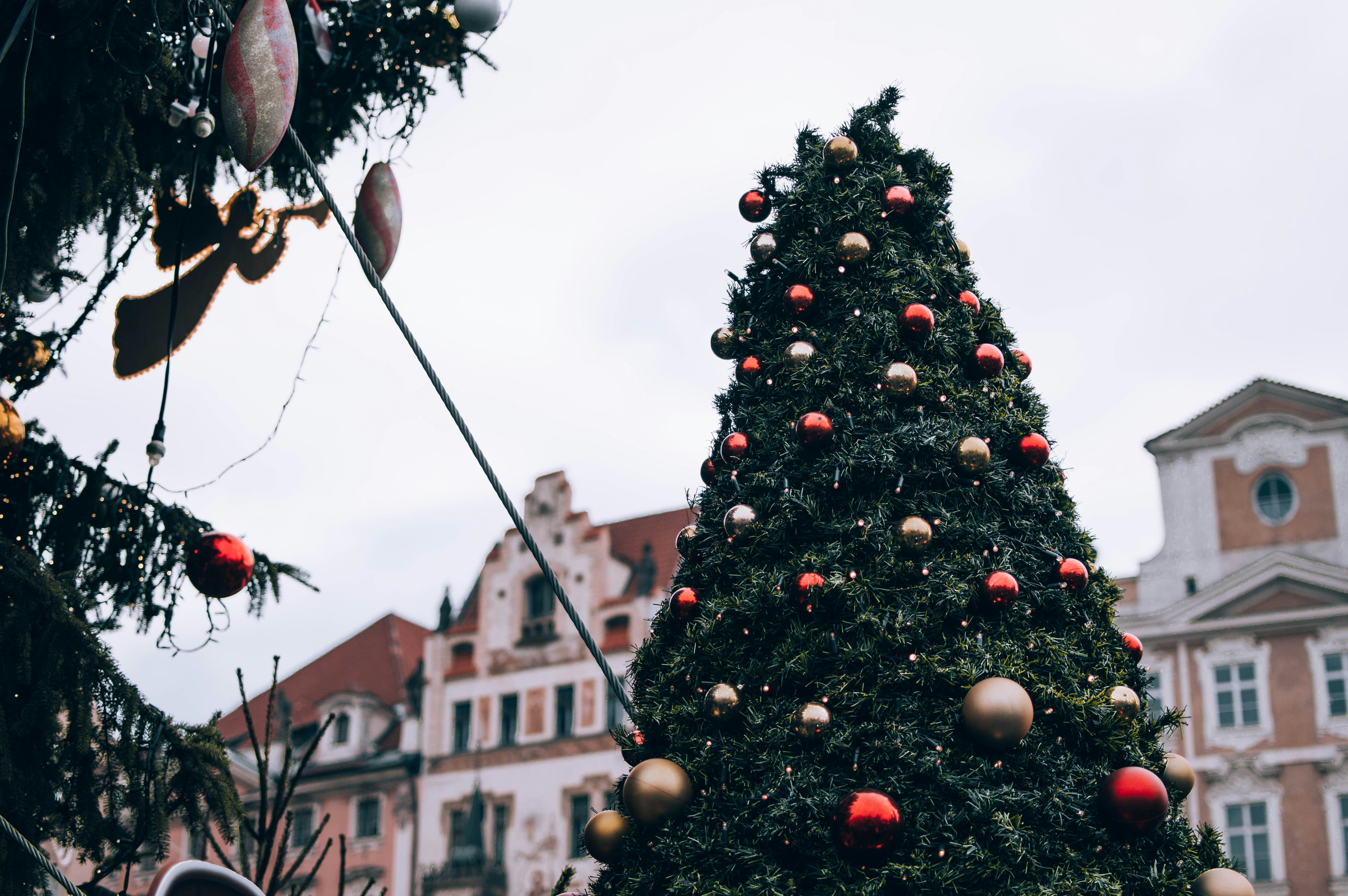 A festive Christmas tree adorned with red and gold ornaments stands tall against a backdrop of charming architecture. The scene evokes a warm holiday atmosphere.