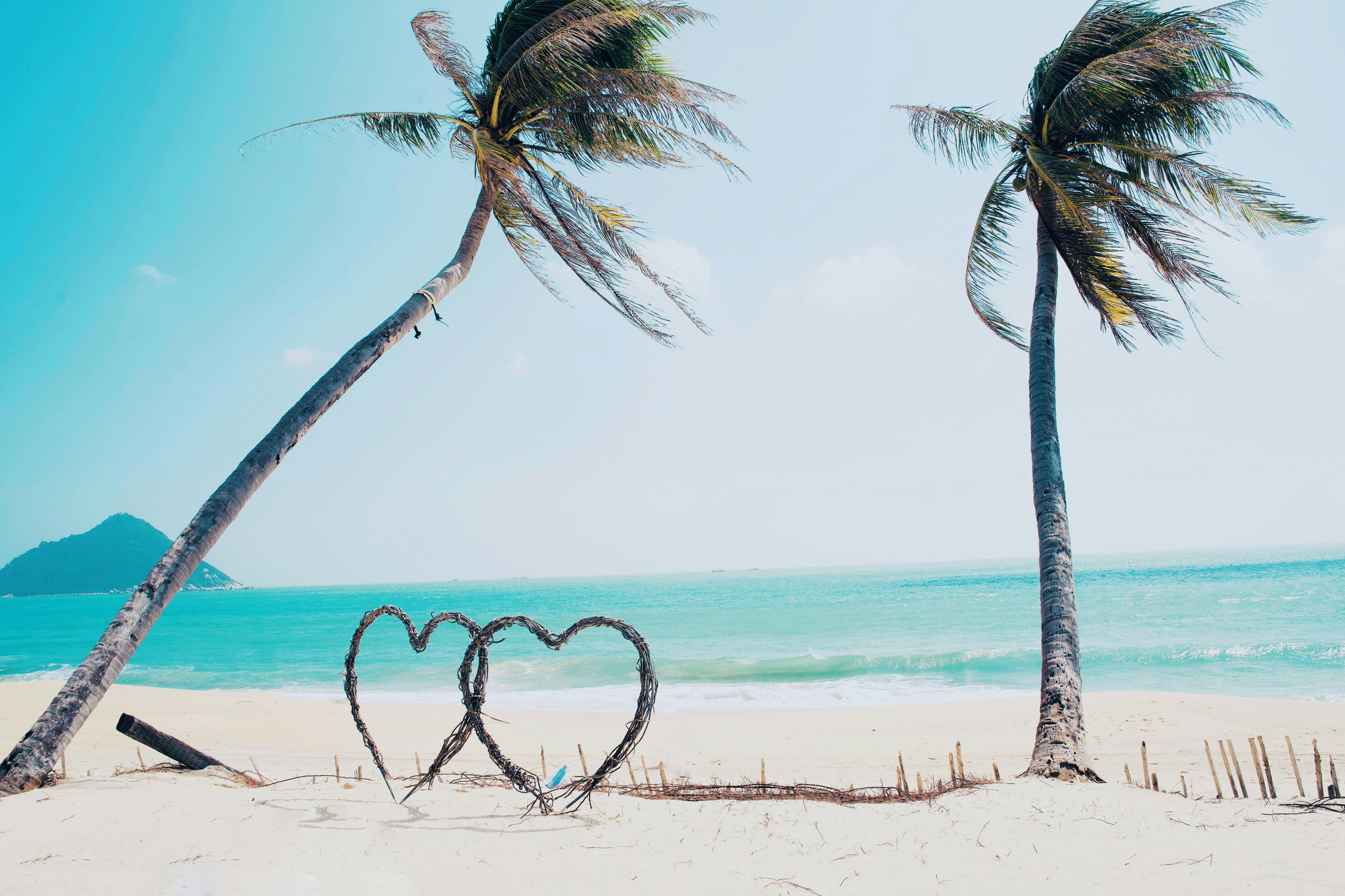 Two heart-shaped structures made of driftwood on a sandy beach, framed by swaying palm trees and a tranquil ocean backdrop.