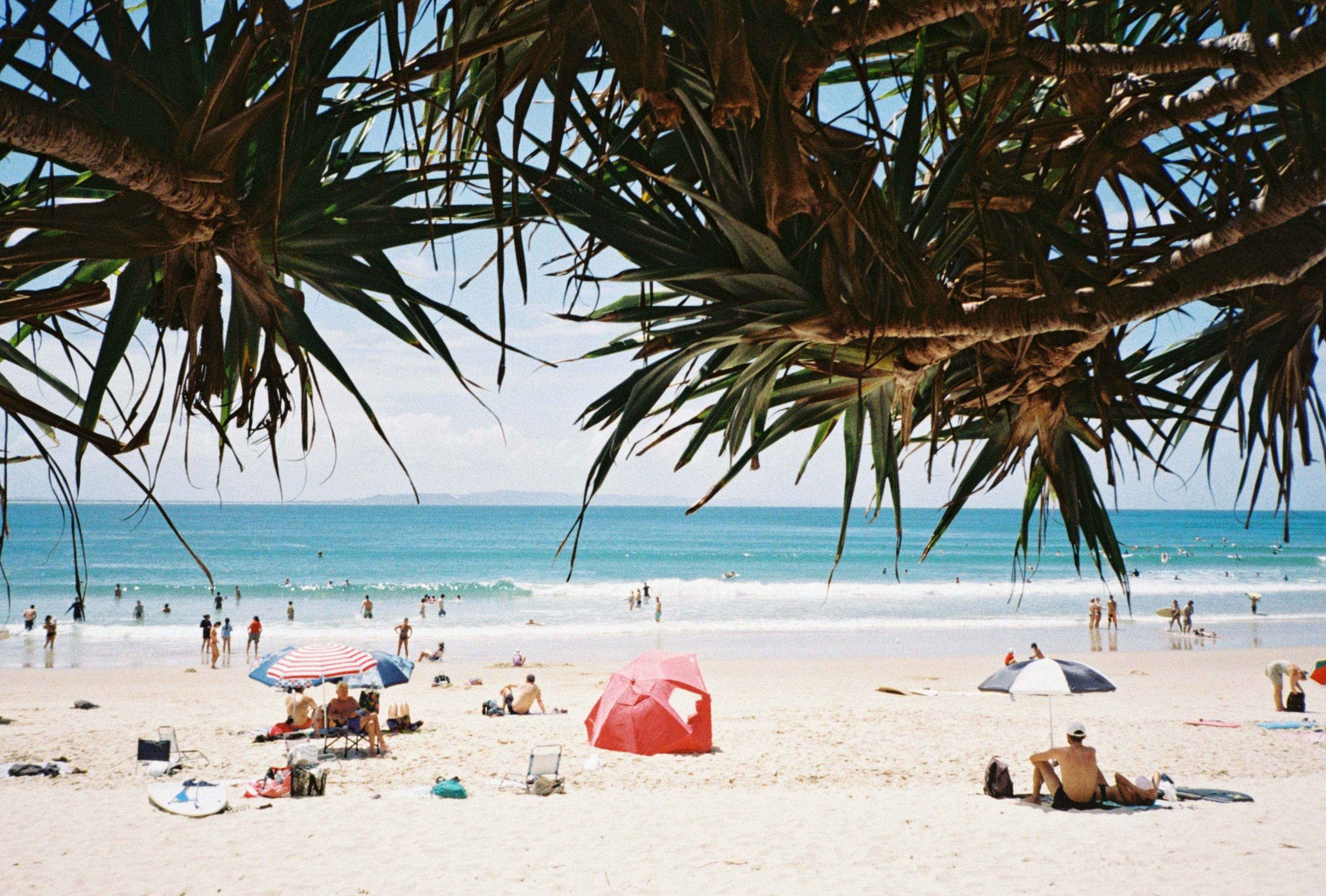 Vibrant beach scene featuring sunbathers, umbrellas, and gentle waves under a clear sky, framed by palm leaves.