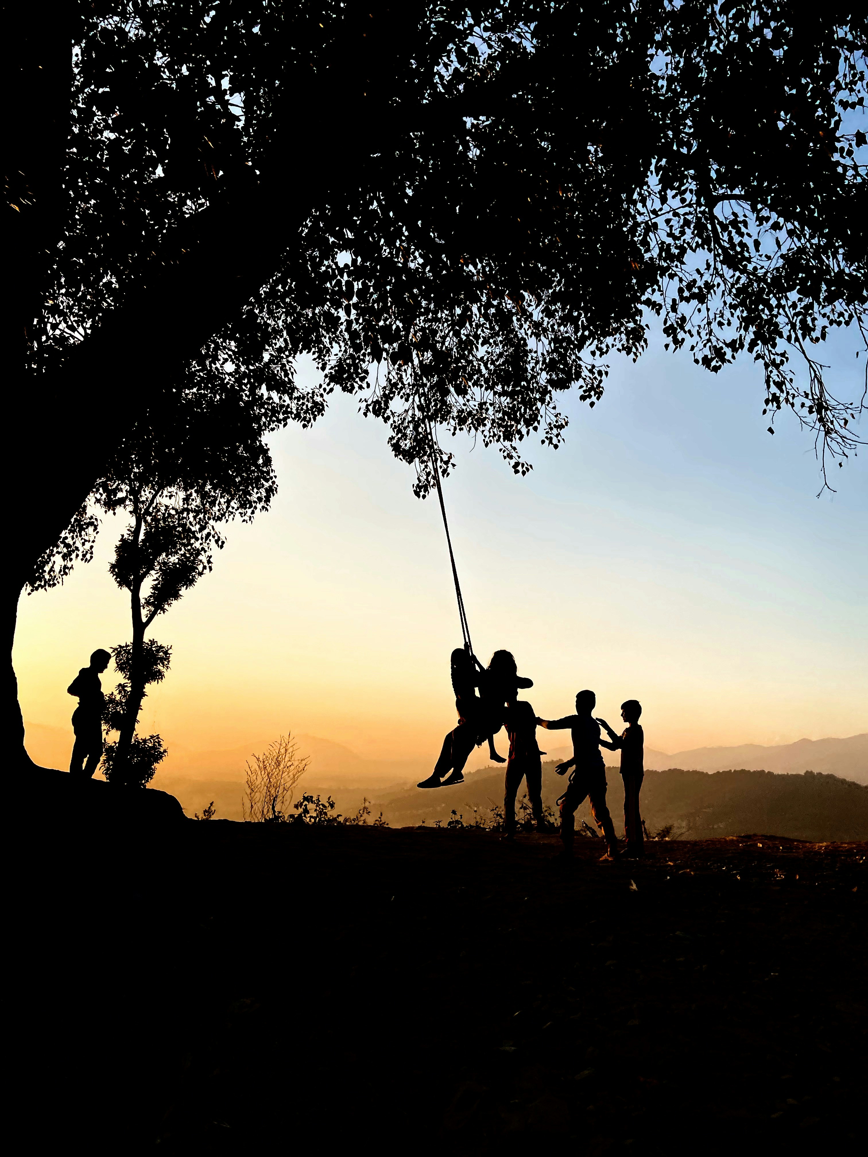 Silhouette of people on swing under tree during sunset photo – Free ...