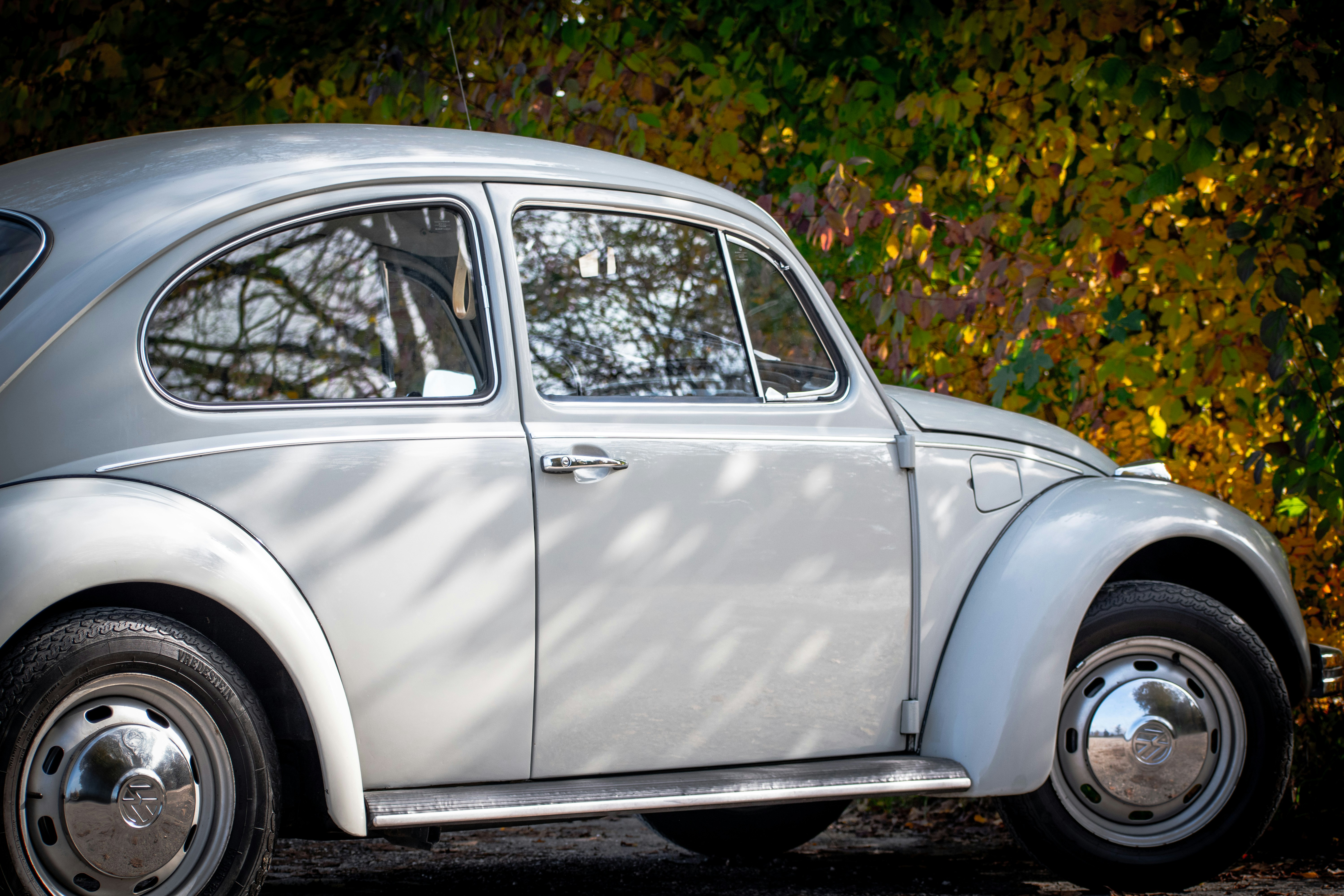 Classic silver Volkswagen Beetle parked against a backdrop of vibrant autumn foliage. The warm colors of the leaves contrast beautifully with the car's smooth lines.