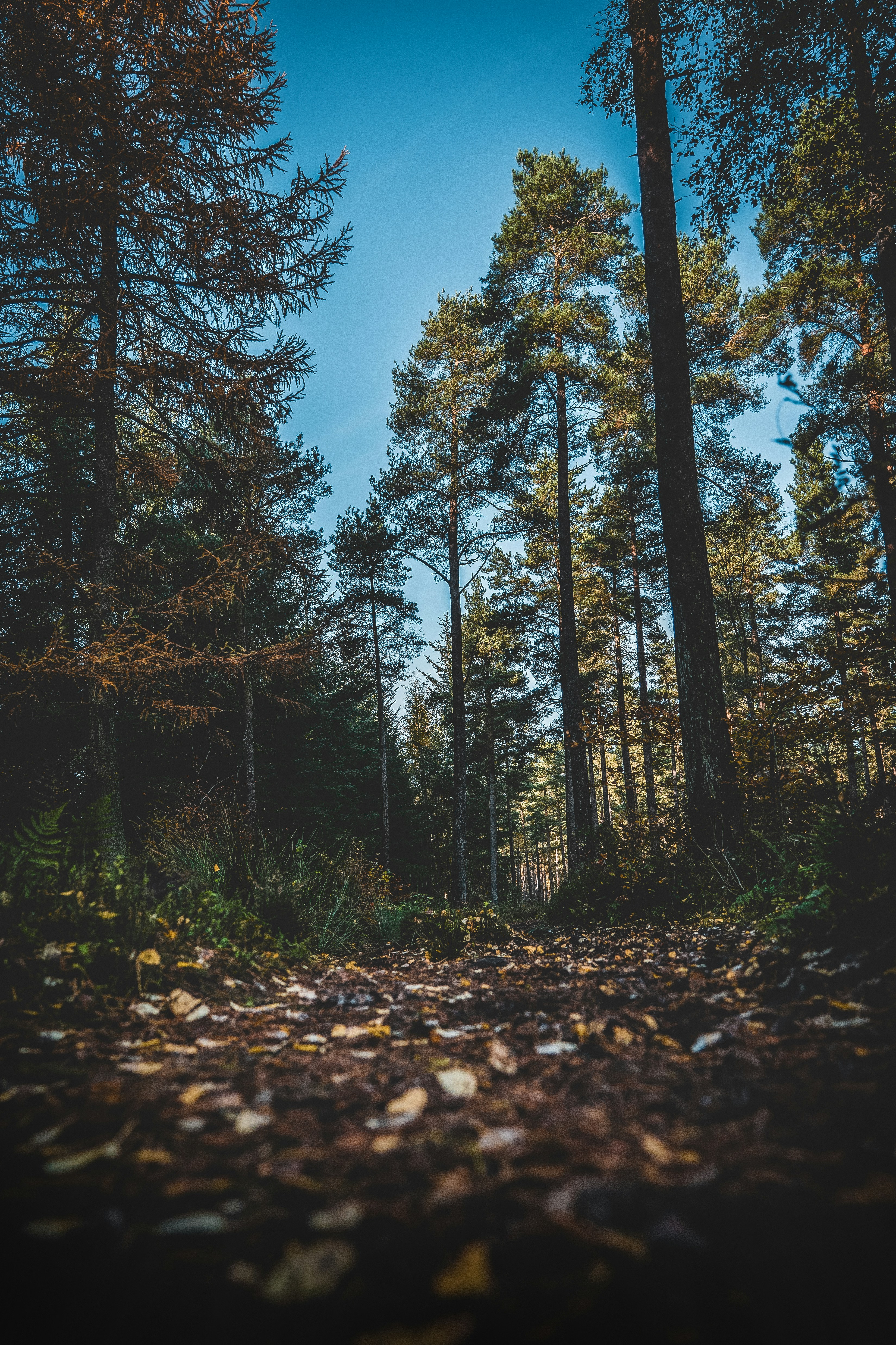 Exploring the beacon in Autumn 