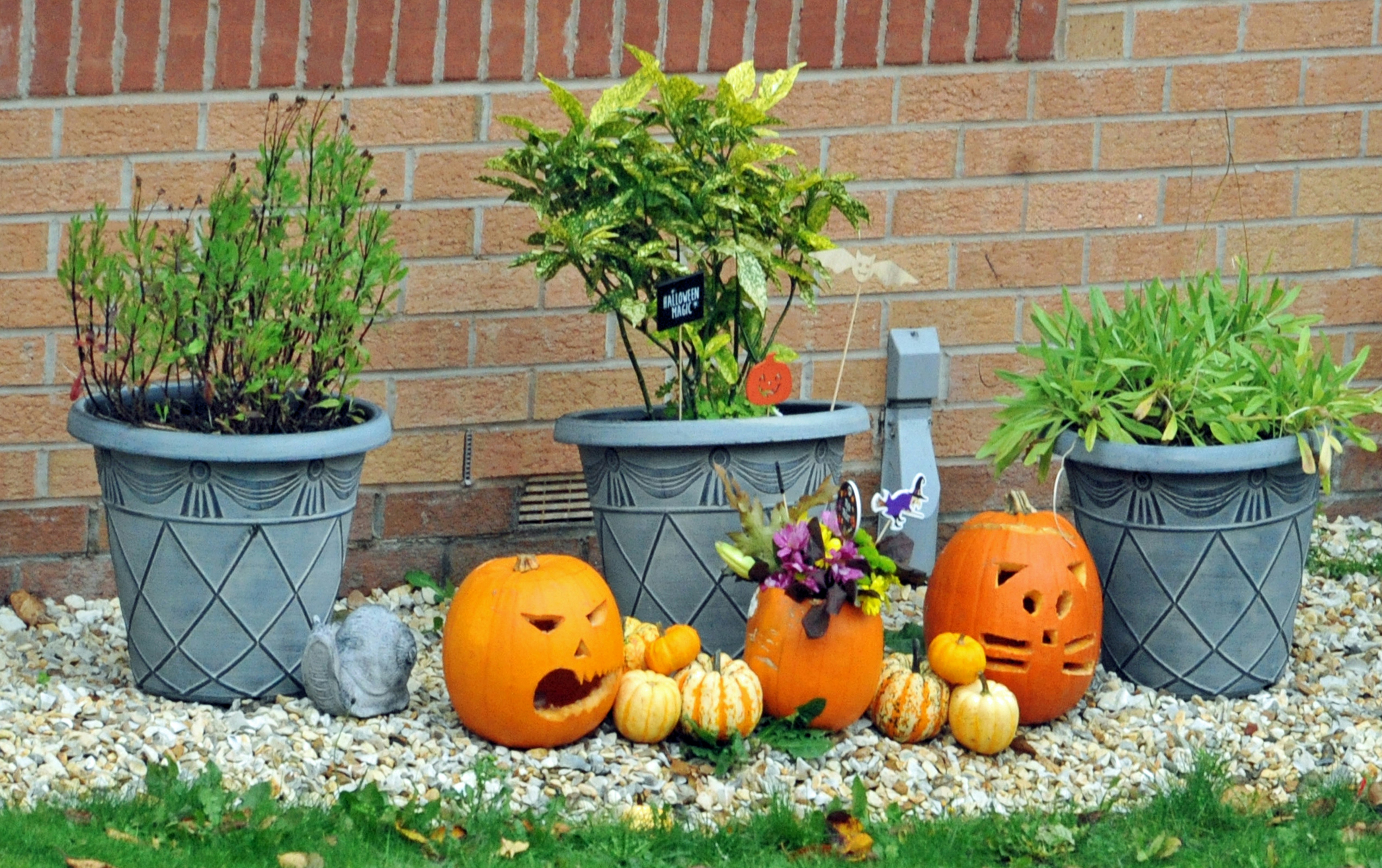 Pumpkins and Planters: a brick-wall Halloween vignette