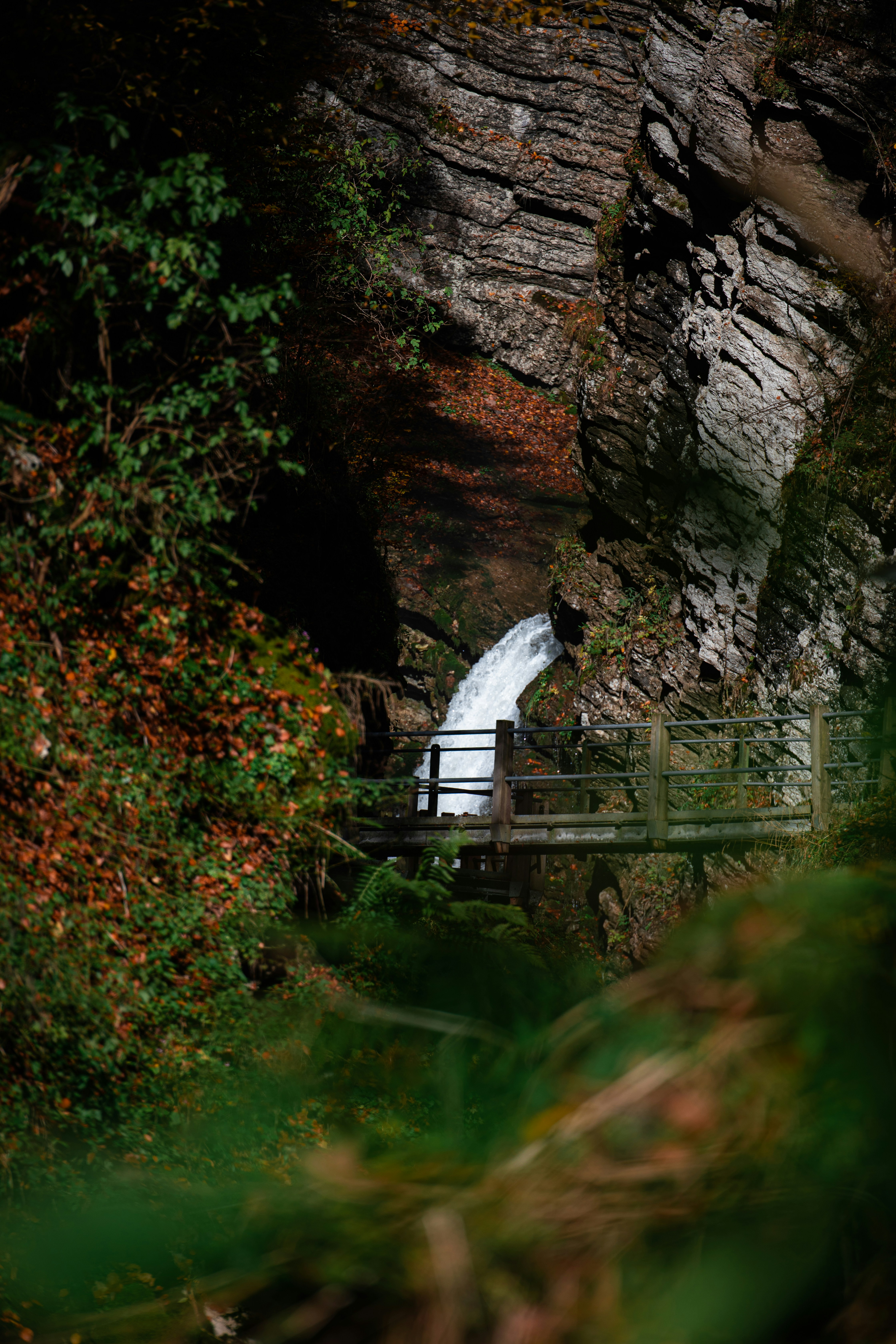 Bridge Over a Cascade: A Narrow Stream Surrounded by Mossy Rock and Autumn Foliage