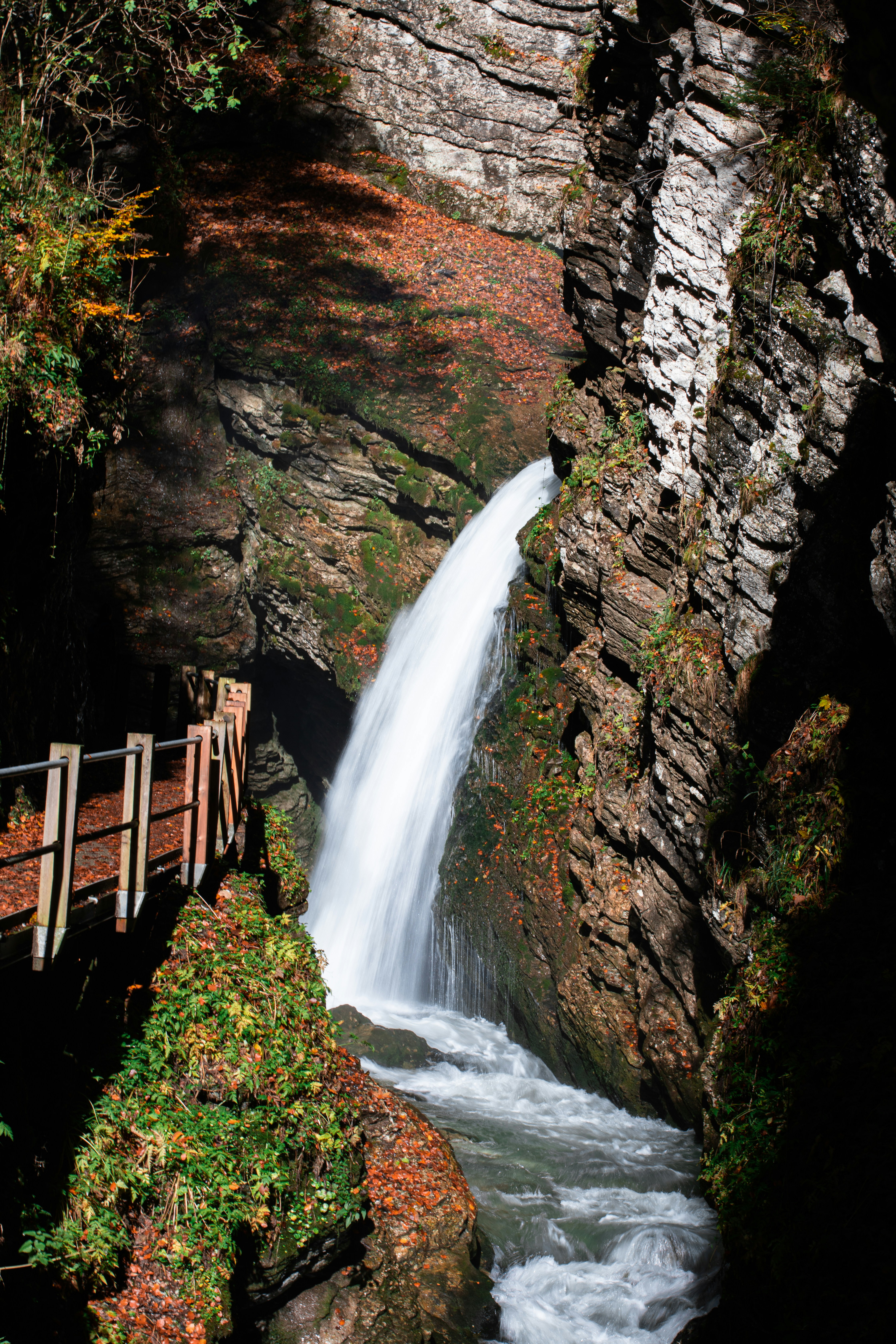 Waterfall Corridor: A Narrow Canyon of Rock and Flow