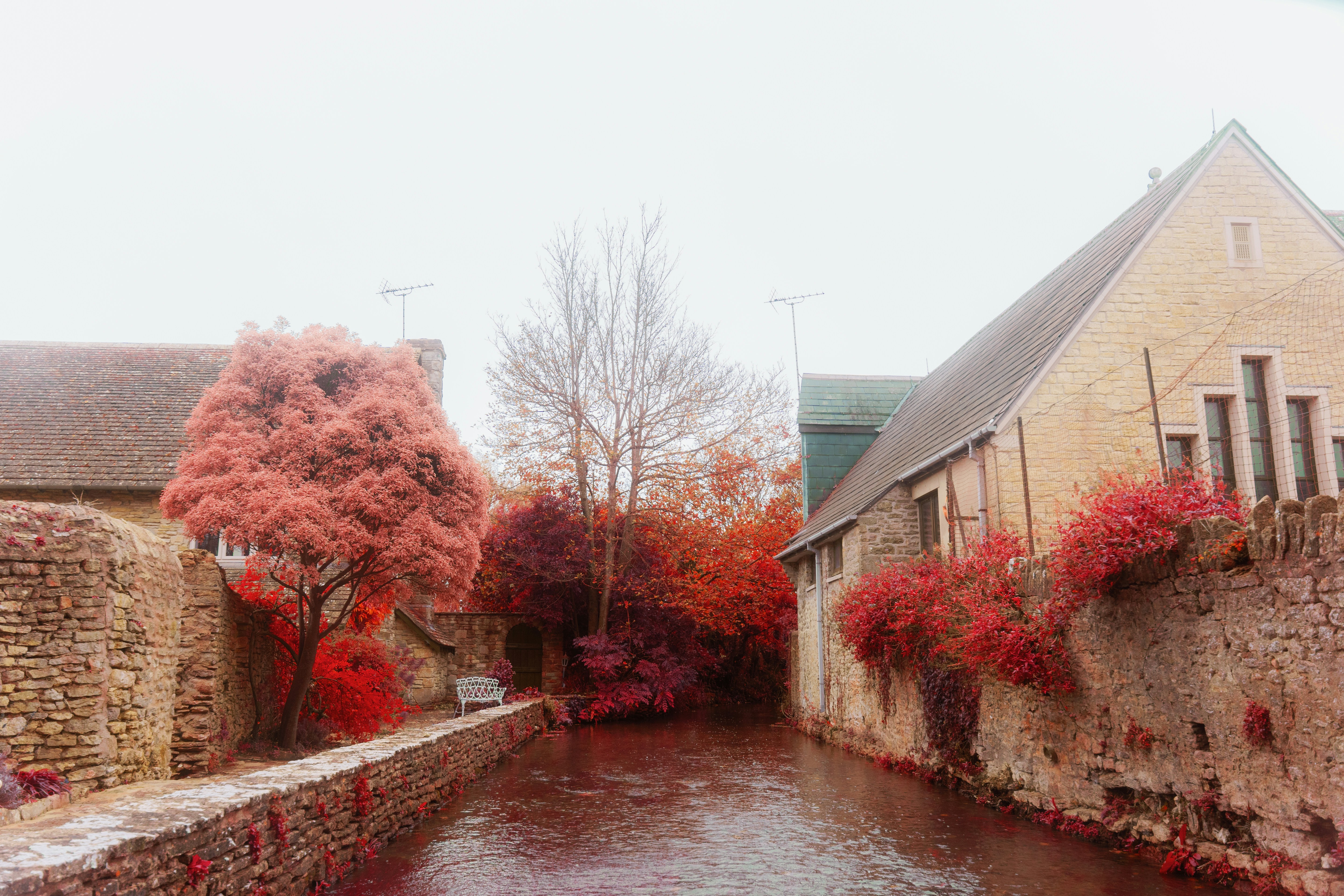Crimson Riverside: A Canal Framed by Stone and Scarlet Foliage