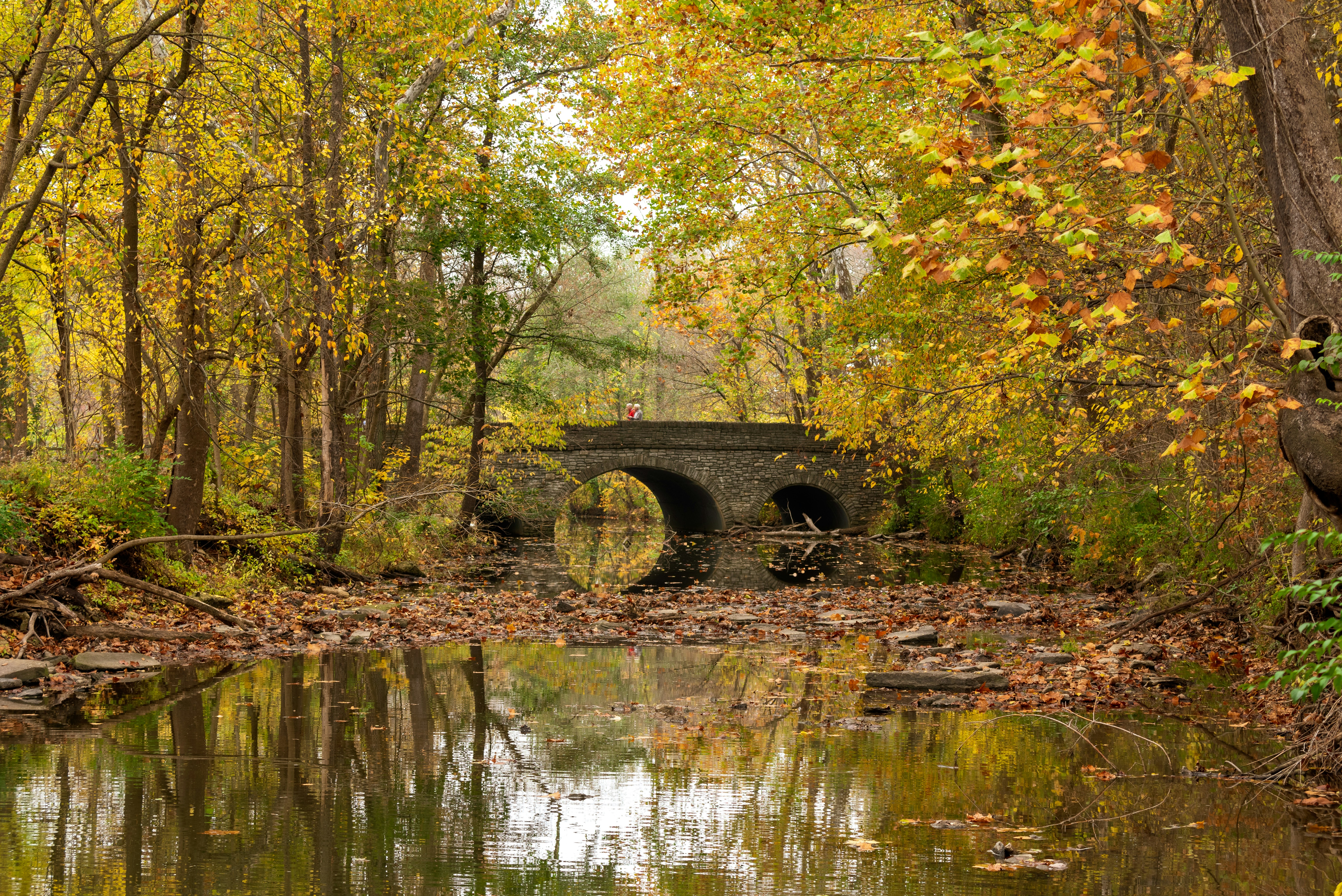 Arched stone bridge over a creek surrounded by autumn foliage with leaves floating on the water.
