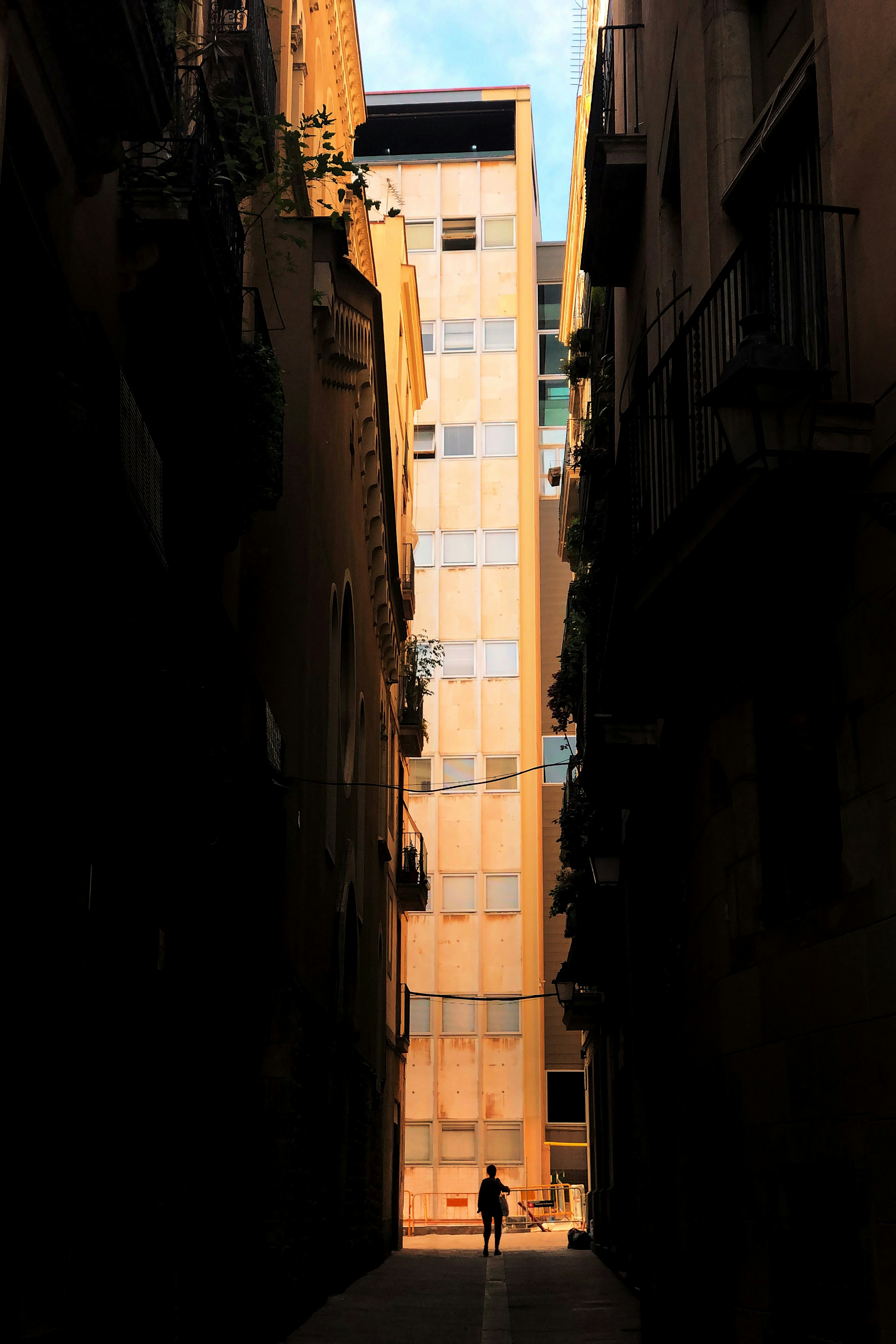 다양한 저울 종류 소개와 활용 방법